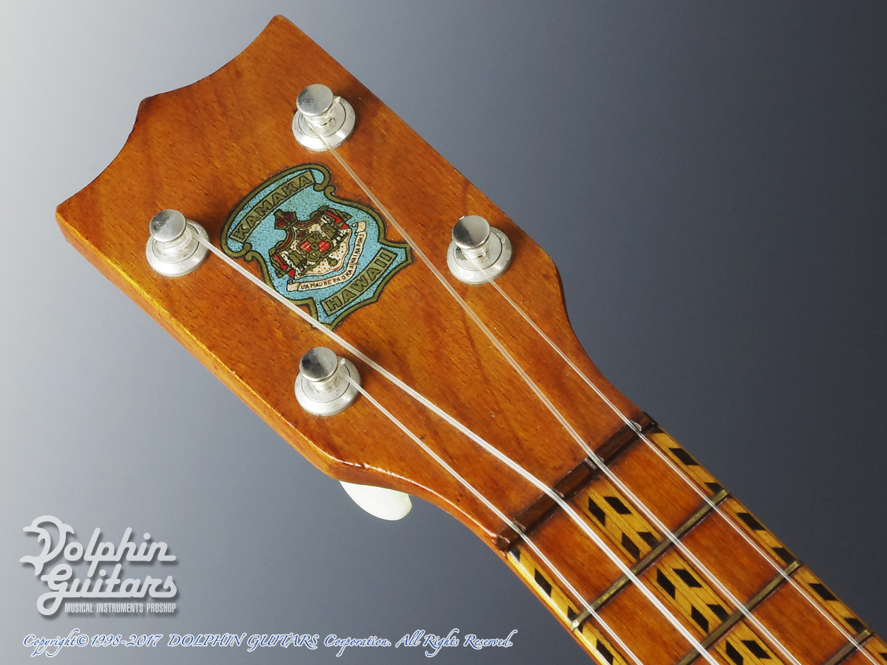 KAMAKA Pineapple Ukulele - ドルフィンギターズ