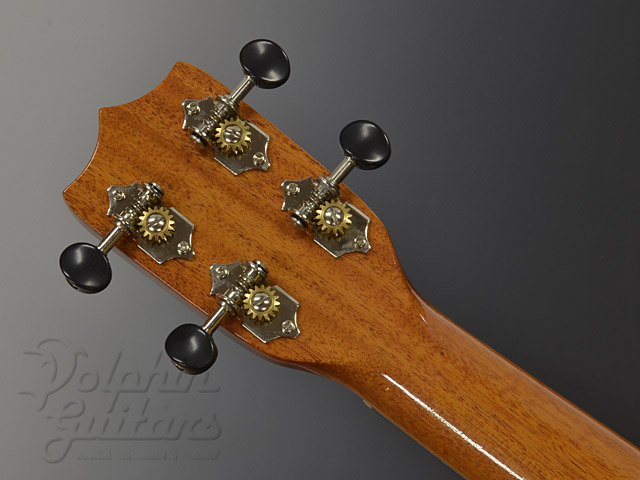 IMUA UKULELE iT-C5 Tenor - ドルフィンギターズ