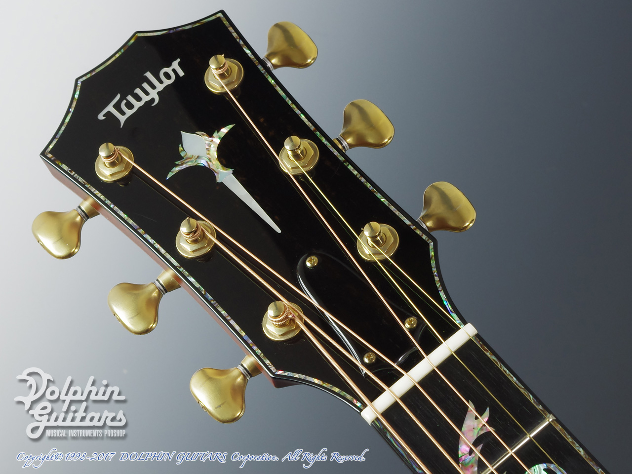TAYLOR PS16ce - ドルフィンギターズ