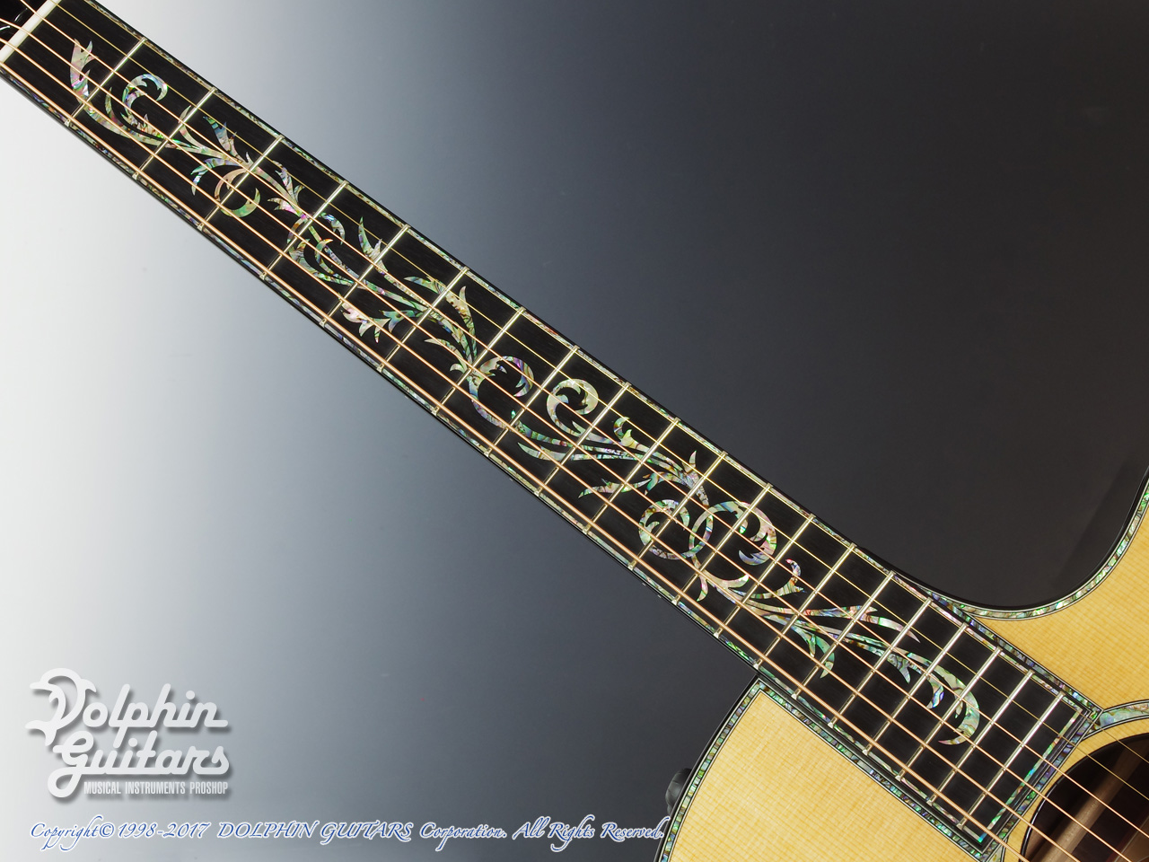 TAYLOR PS16ce - ドルフィンギターズ