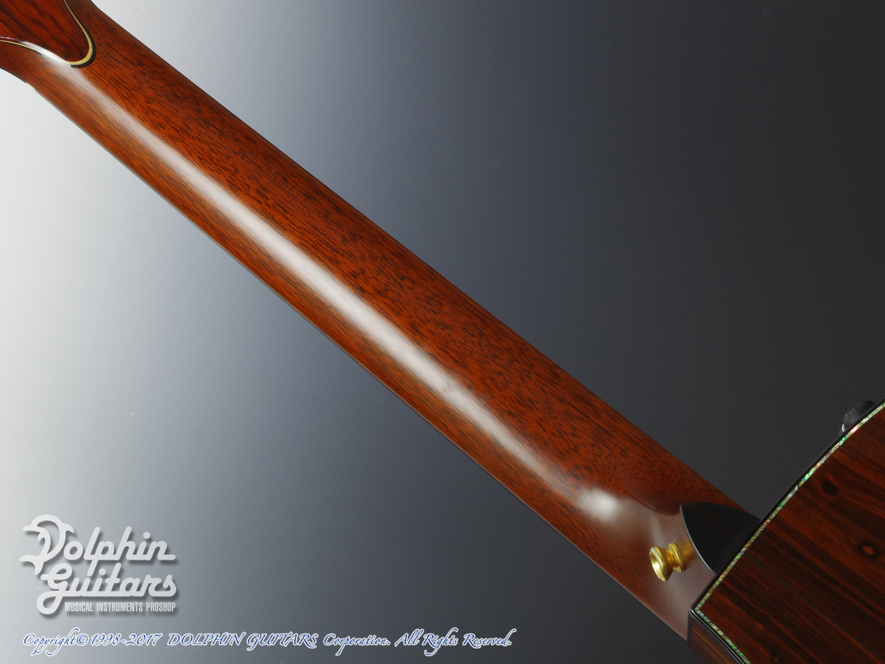 TAYLOR PS16ce - ドルフィンギターズ