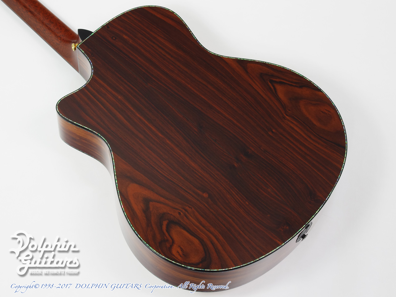 TAYLOR PS16ce - ドルフィンギターズ