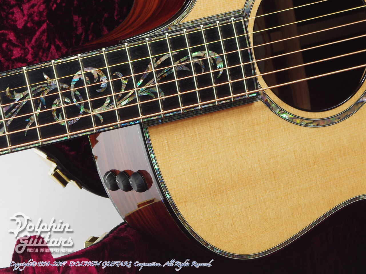 TAYLOR PS16ce - ドルフィンギターズ