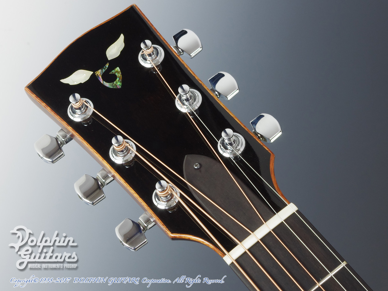 JAMES GOODALL RGCC (Grand Concert Cutaway) - ドルフィンギターズ