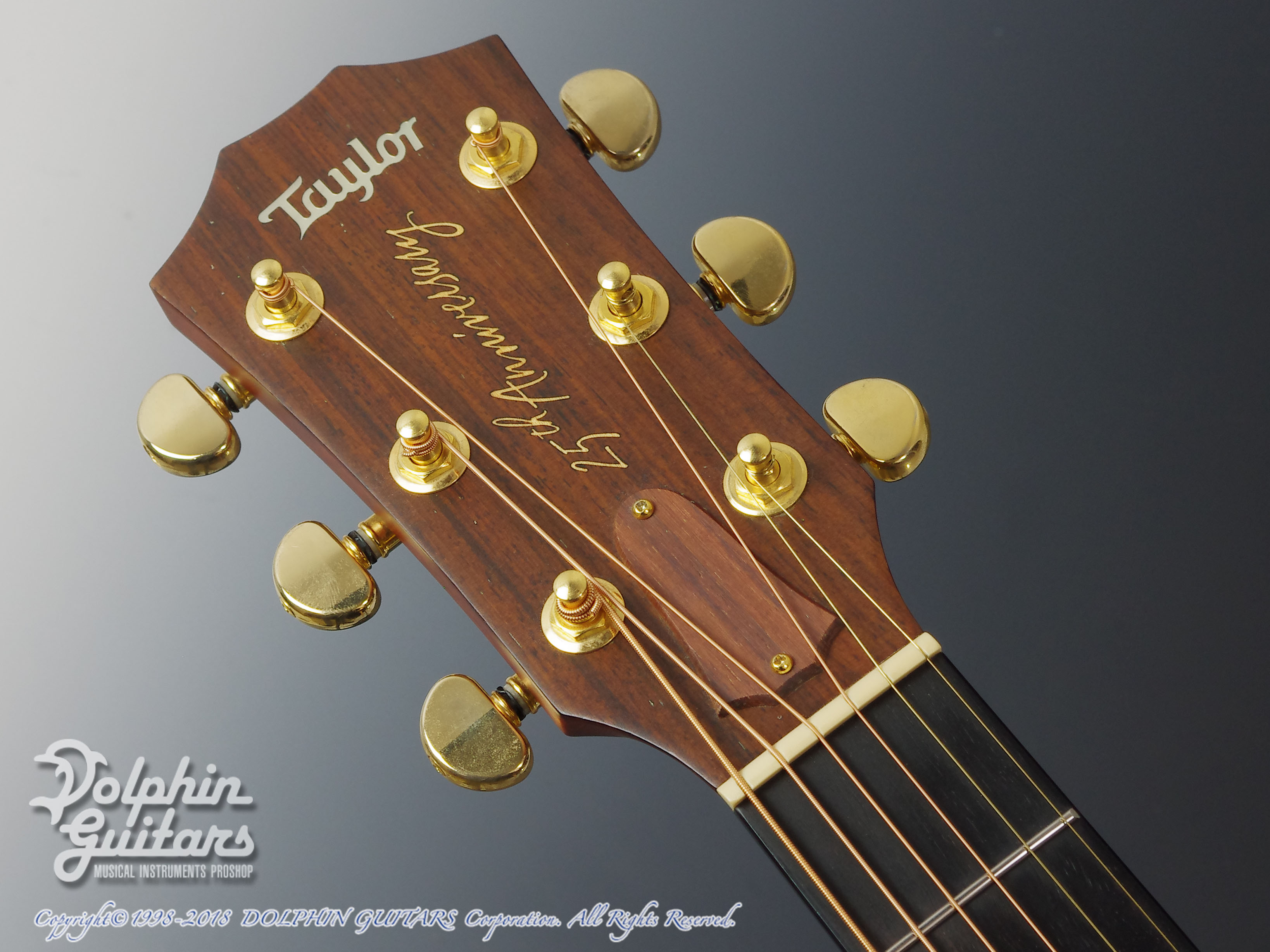 TAYLOR 514ce 25th Anniversary - ドルフィンギターズ