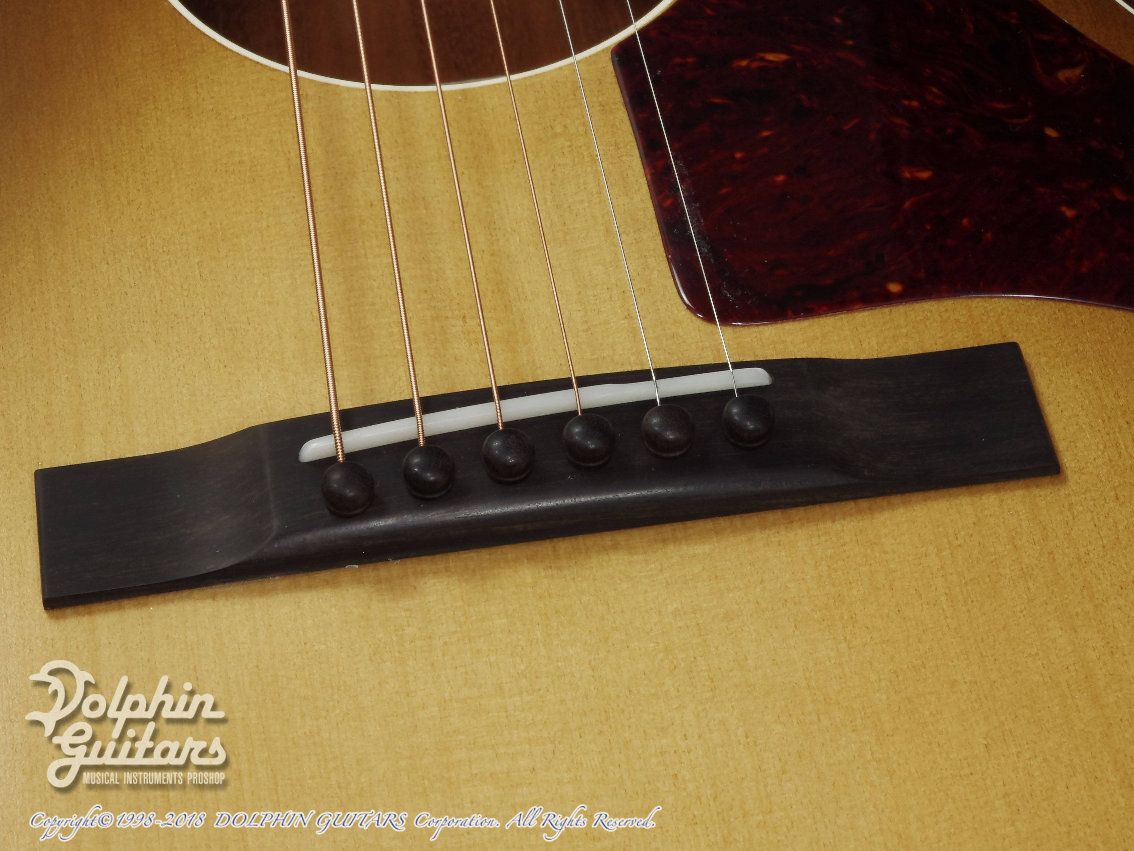 WATERLOO (by Collings) WL-14X Longhorn (X Bracing / Truss Rod) - ドルフィンギターズ