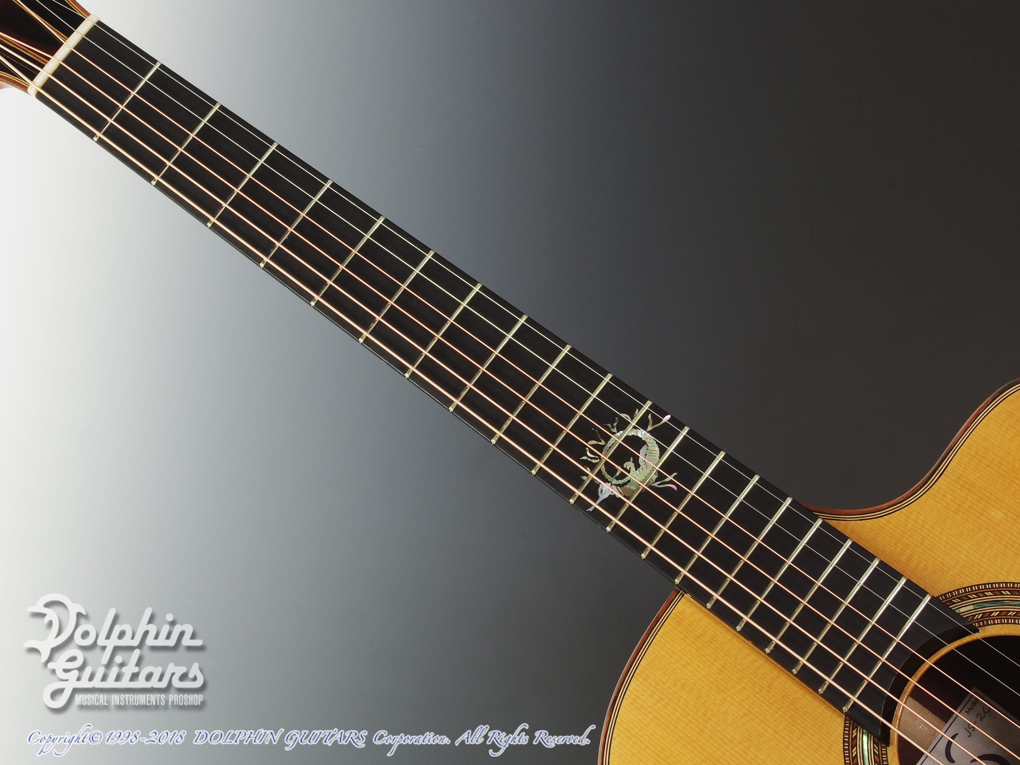JACK SPIRA GUITARS JS-2C Sea Dragon - ドルフィンギターズ