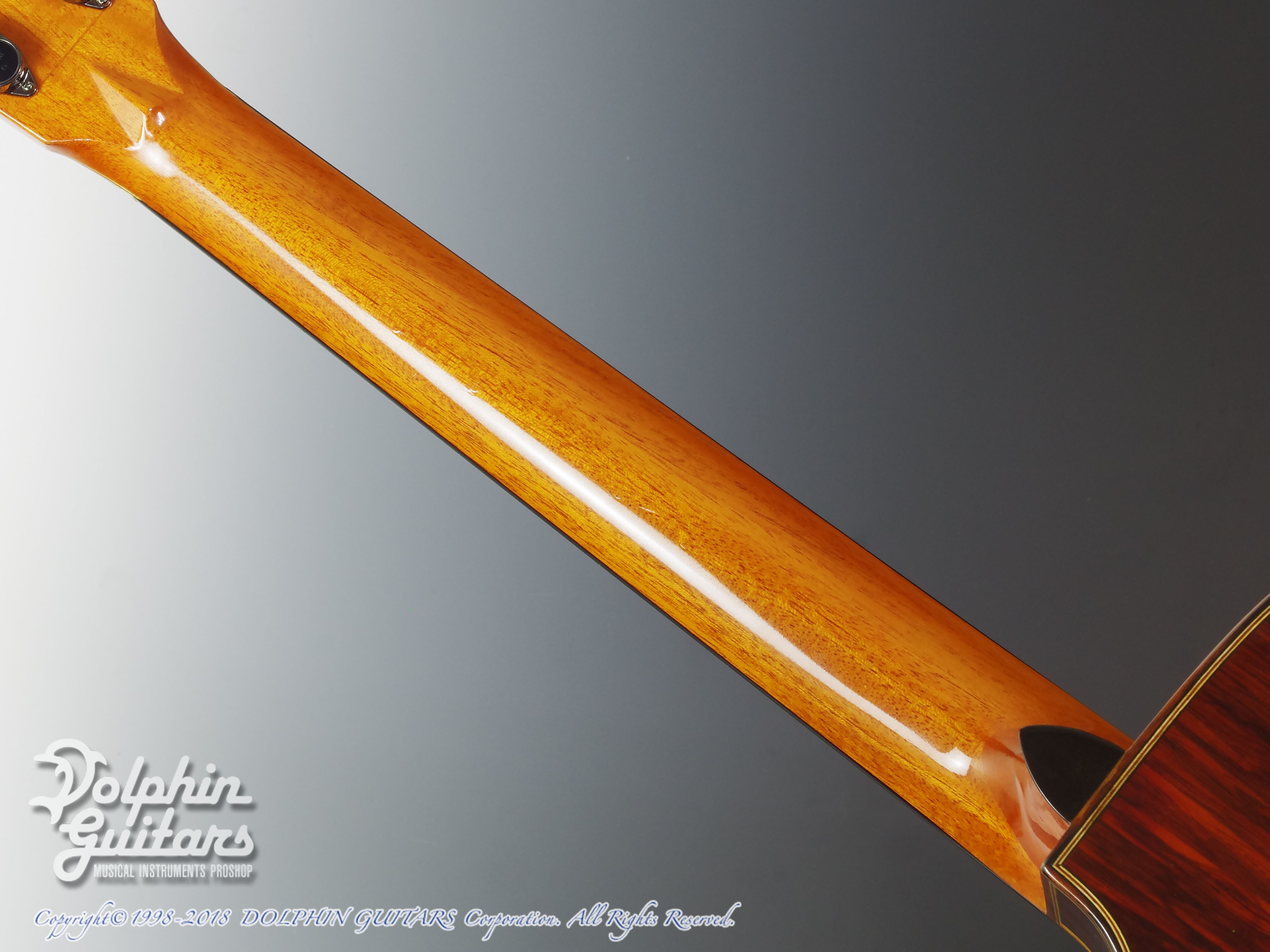 JACK SPIRA GUITARS JS-2C Sea Dragon - ドルフィンギターズ