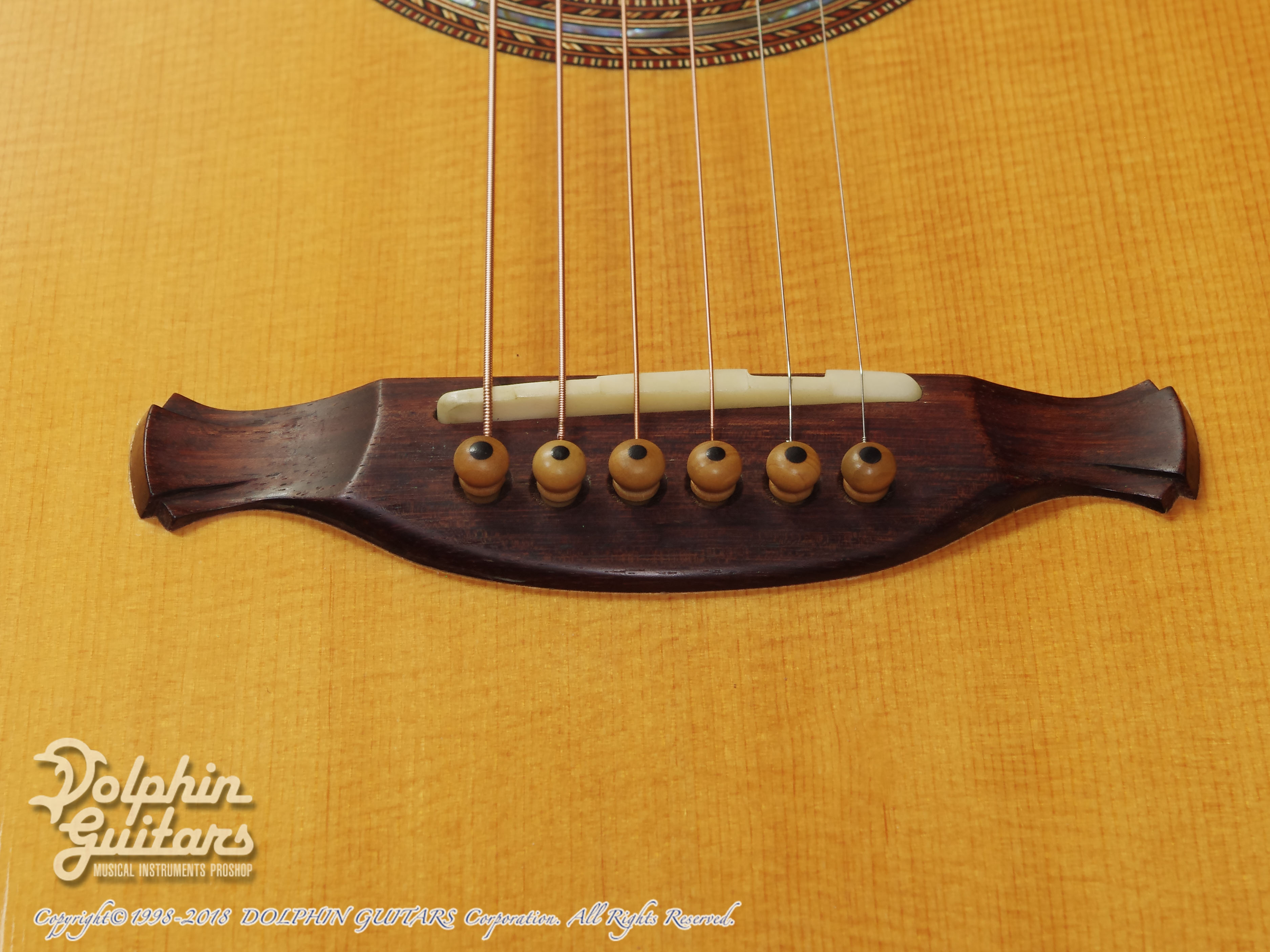 JACK SPIRA GUITARS JS-2C Sea Dragon - ドルフィンギターズ