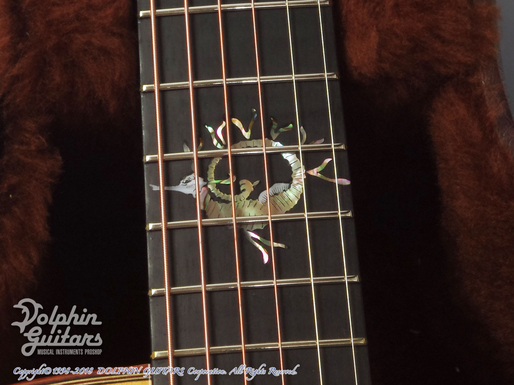 JACK SPIRA GUITARS JS-2C Sea Dragon - ドルフィンギターズ