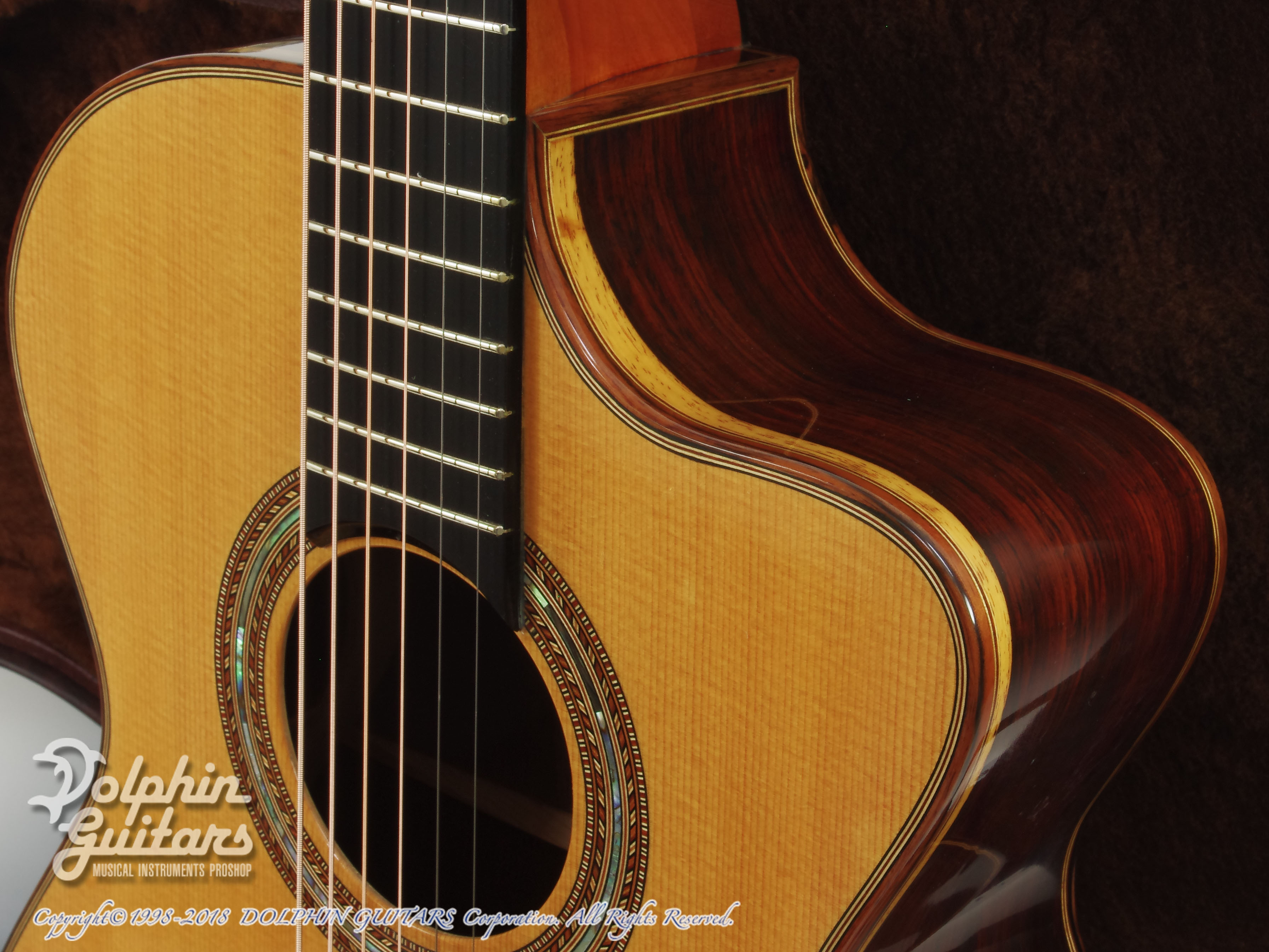 JACK SPIRA GUITARS JS-2C Sea Dragon - ドルフィンギターズ