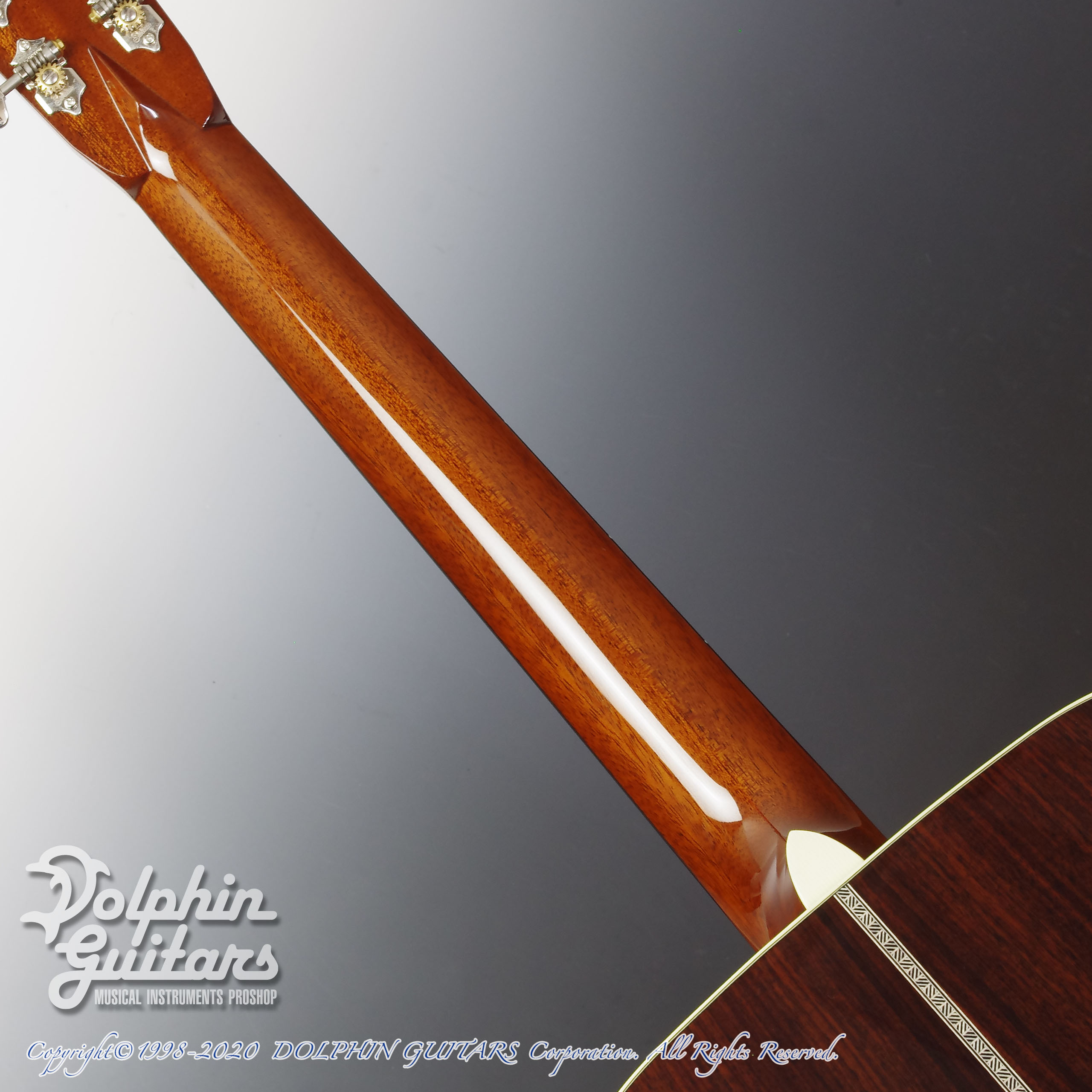 SWITCH SCD-2H - ドルフィンギターズ