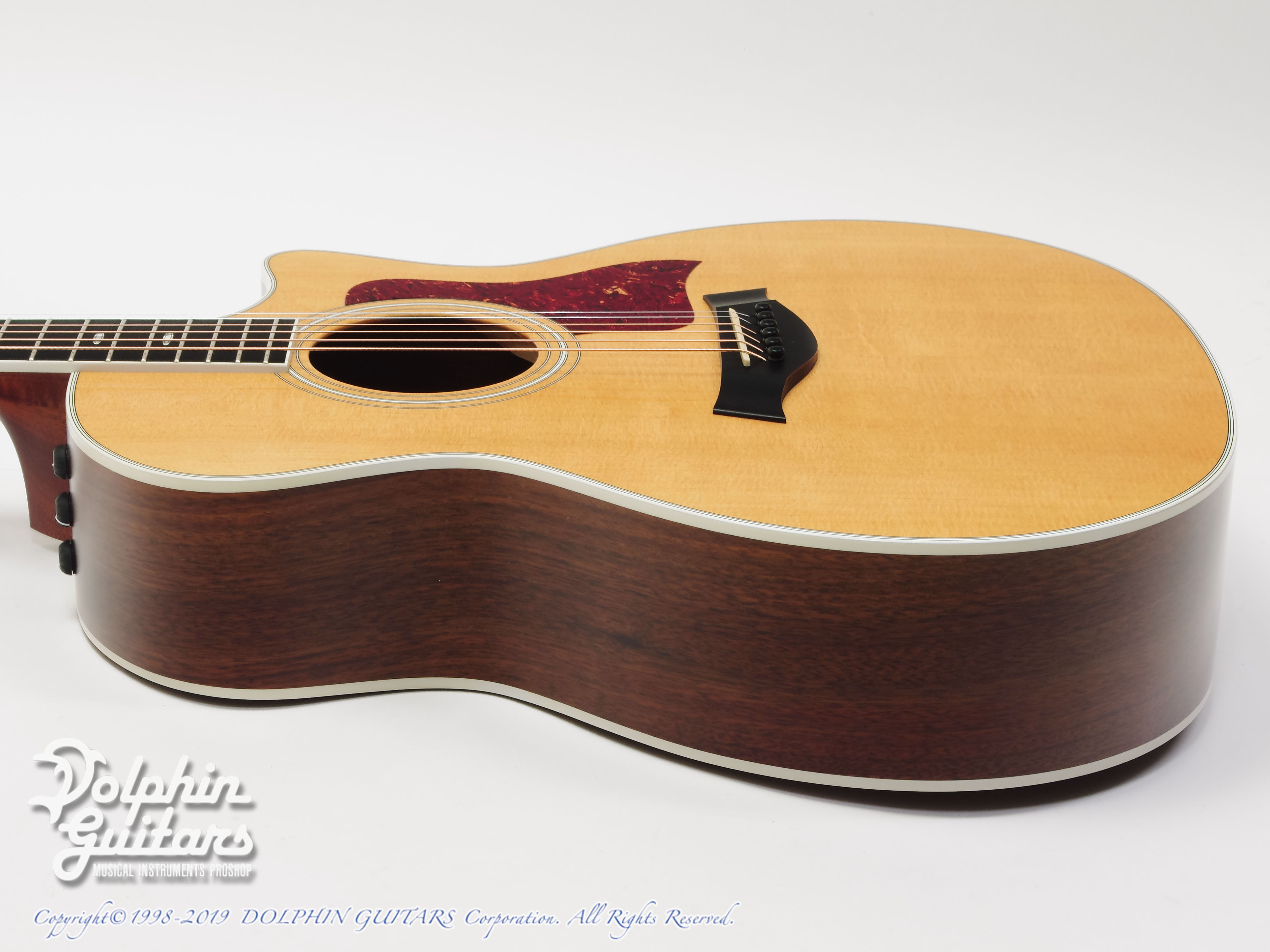 TAYLOR 414ce - ドルフィンギターズ