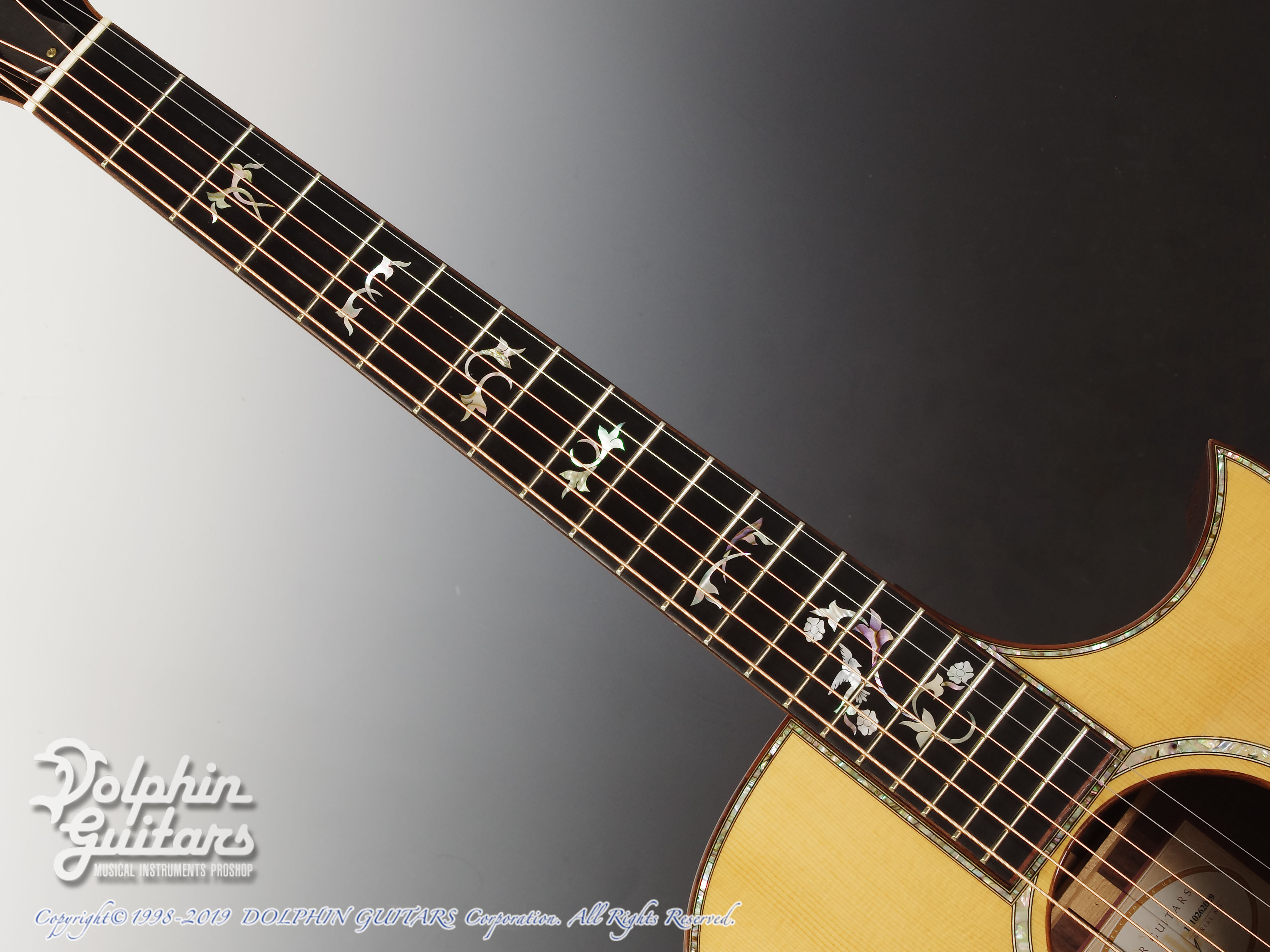 TAYLOR 912c Special - ドルフィンギターズ