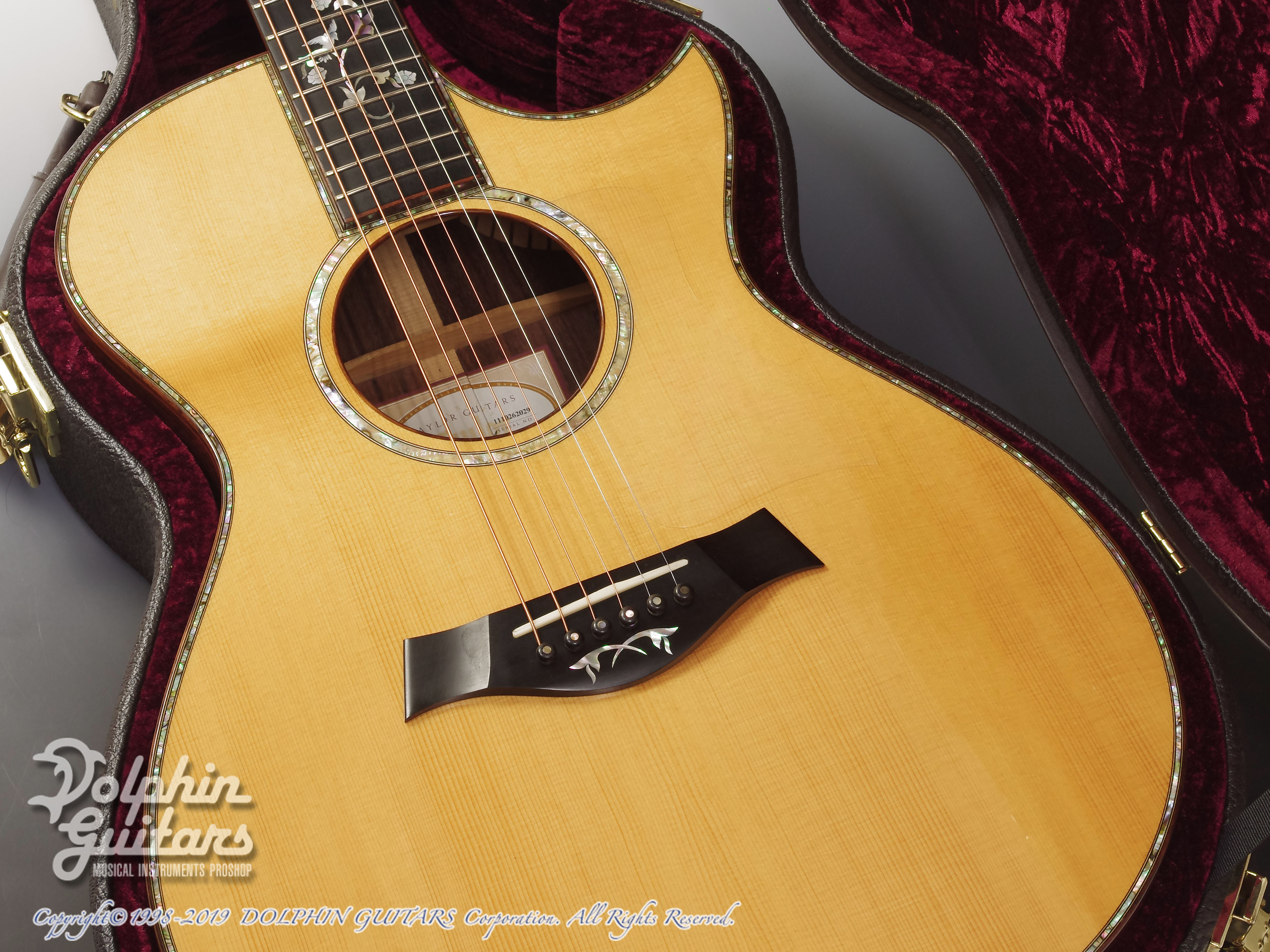 TAYLOR 912c Special - ドルフィンギターズ