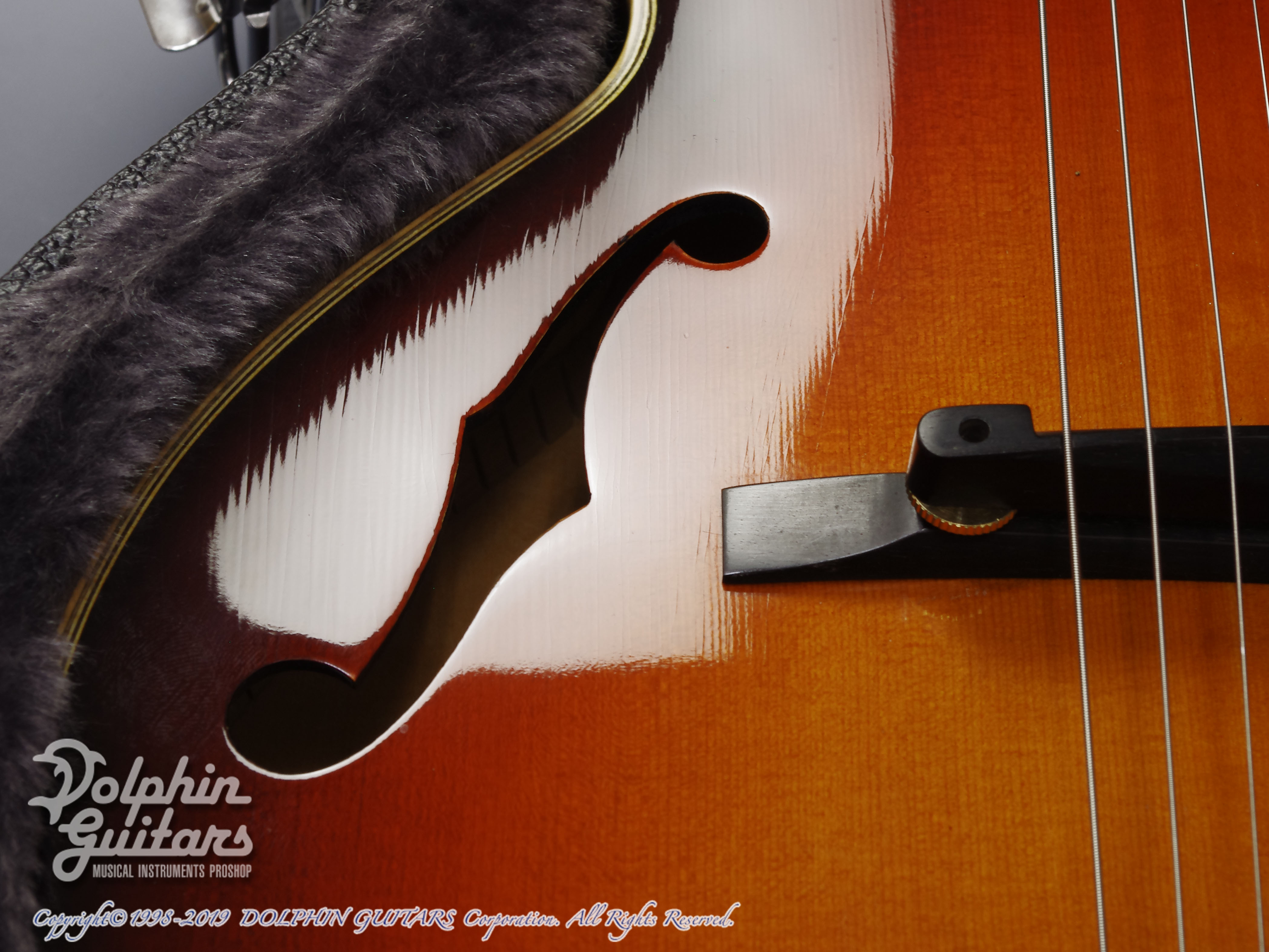 Eastman AR-145 Floating P.U. - ドルフィンギターズ