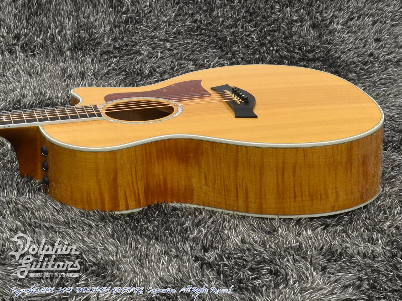 TAYLOR 614CE - ドルフィンギターズ