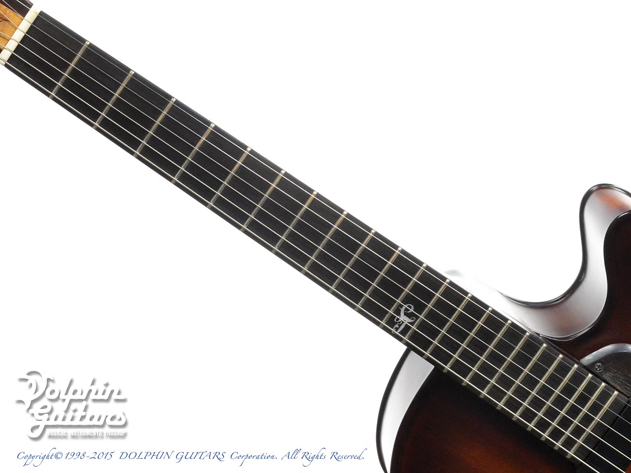 LANDSCAPE AR-201 - ドルフィンギターズ