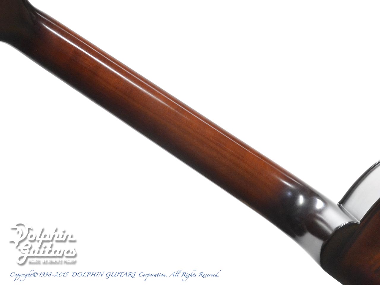 LANDSCAPE AR-201 - ドルフィンギターズ