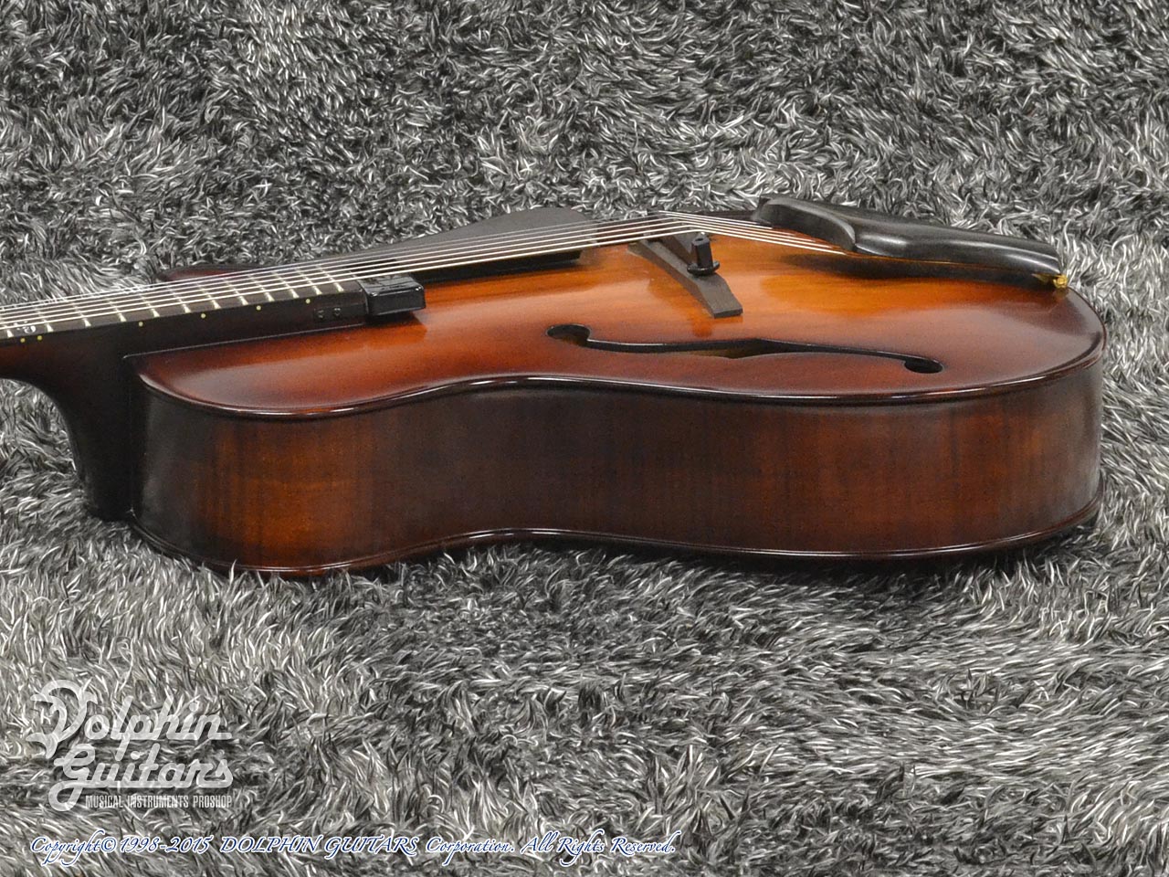 LANDSCAPE AR-201 - ドルフィンギターズ