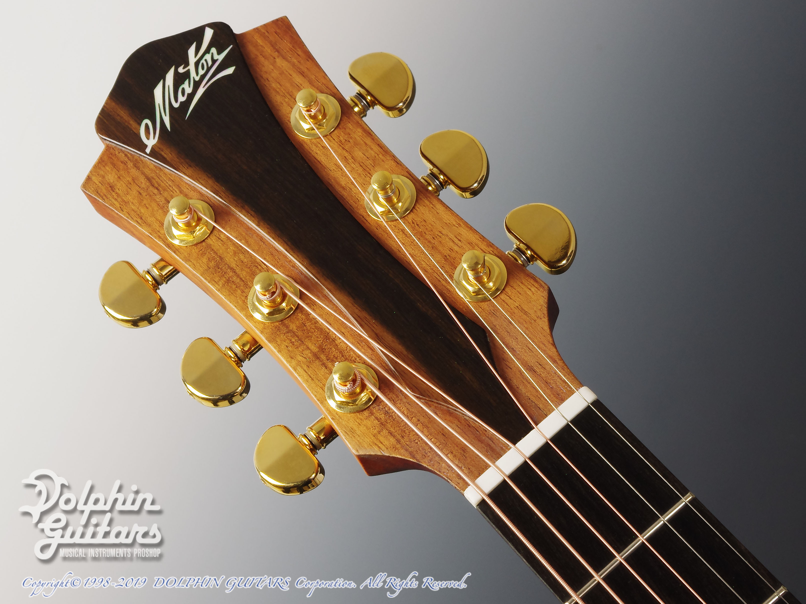 MATON The Vera May - ドルフィンギターズ