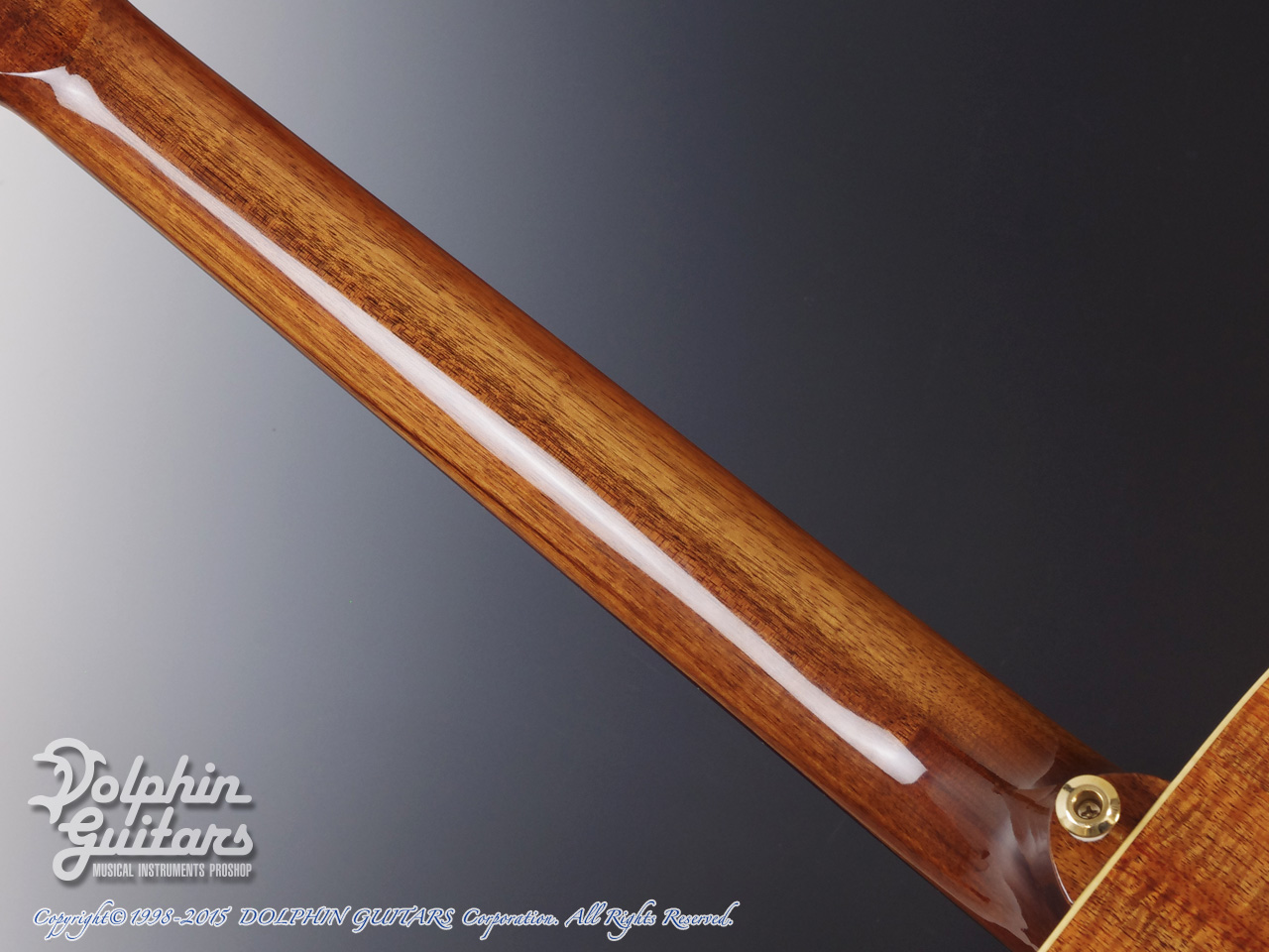 MATON Custom Shop W.A MAY TRAD - ドルフィンギターズ