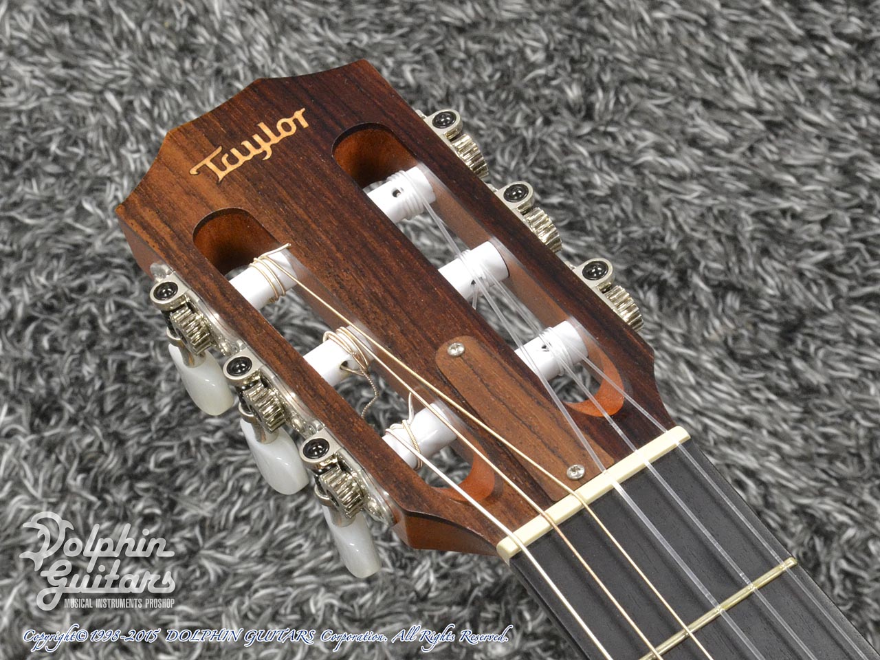 TAYLOR NS24-CE - ドルフィンギターズ