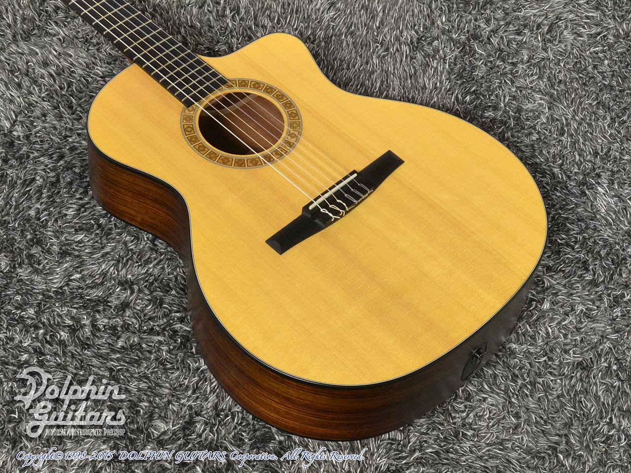 TAYLOR NS24-CE - ドルフィンギターズ
