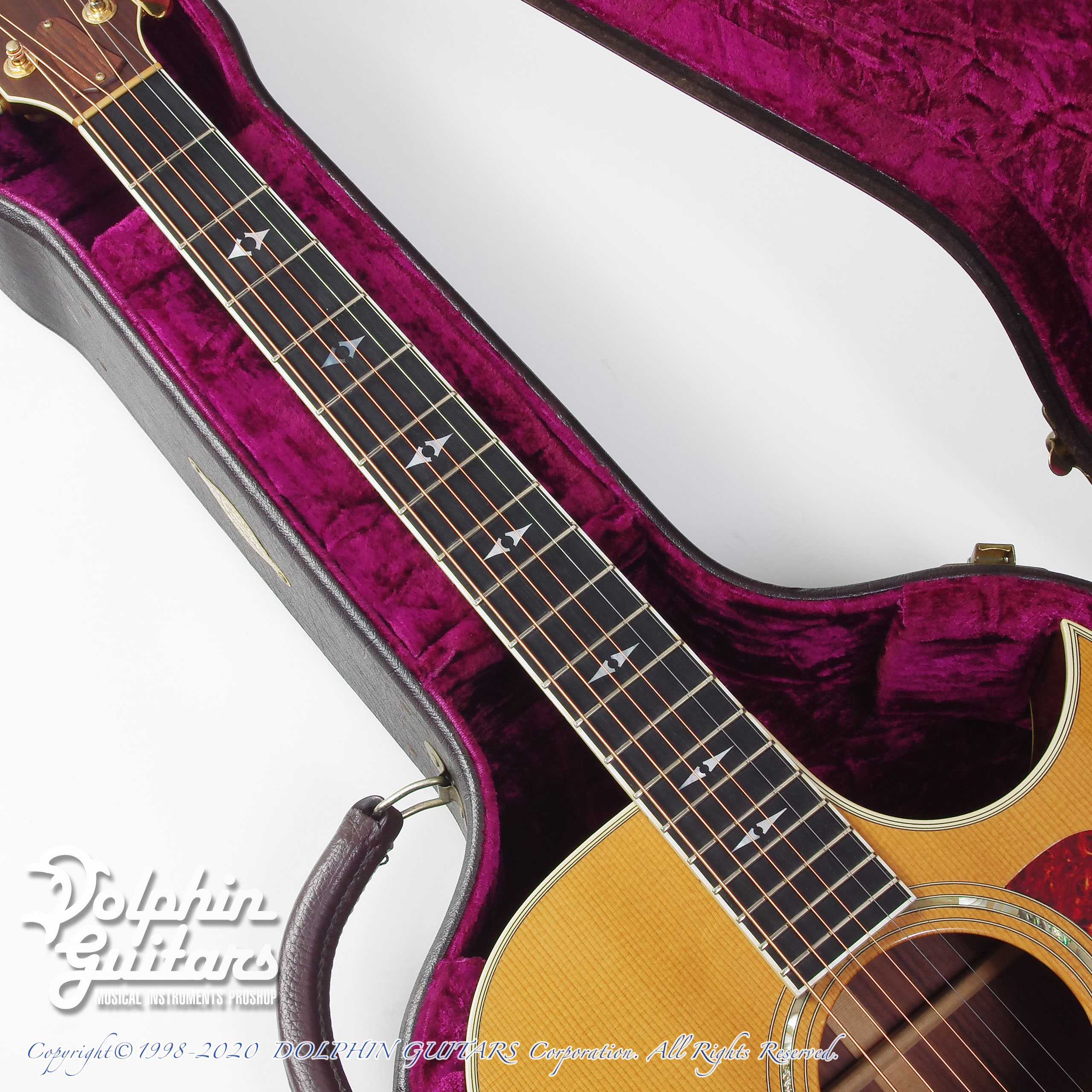 TAYLOR 815C - ドルフィンギターズ