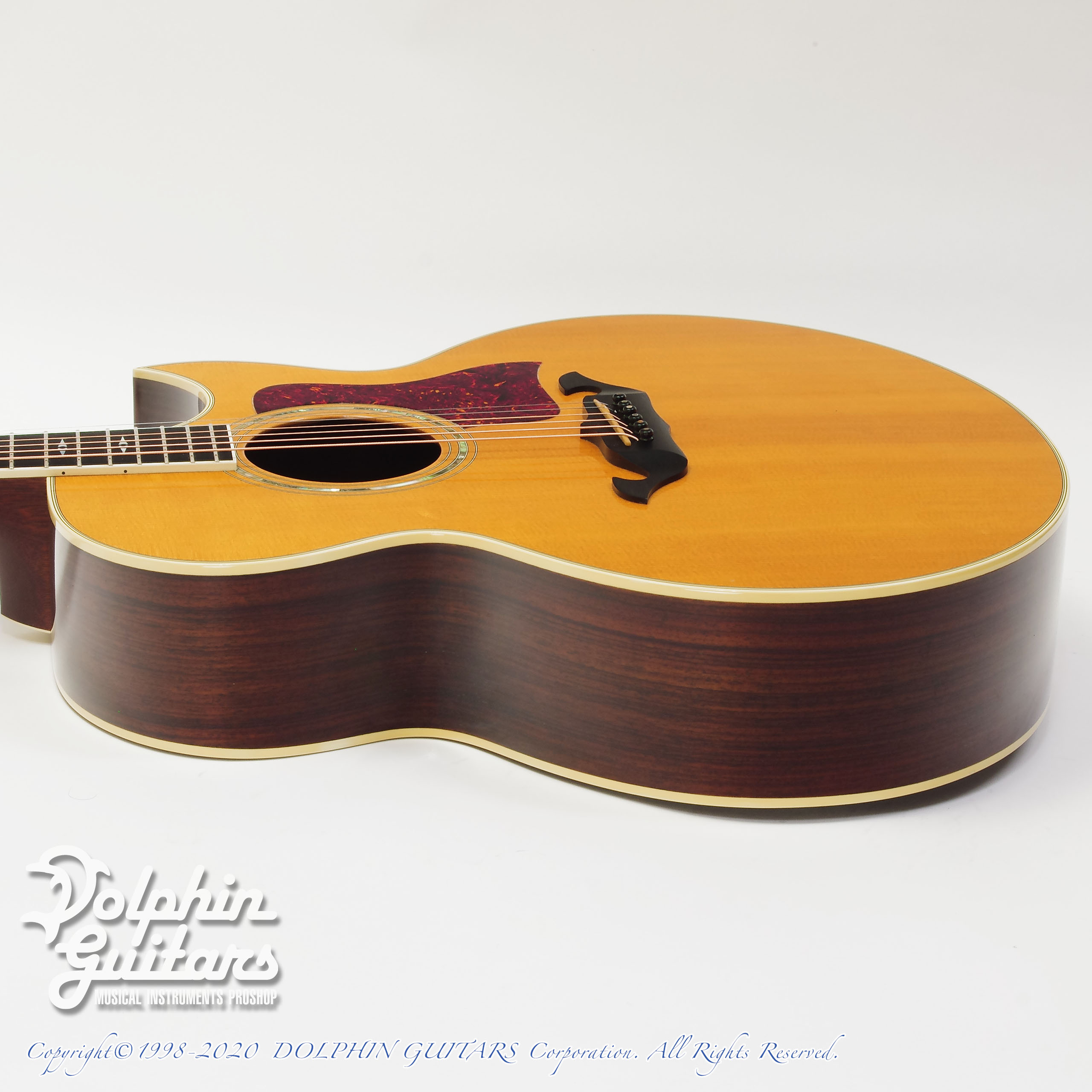 TAYLOR 815C - ドルフィンギターズ