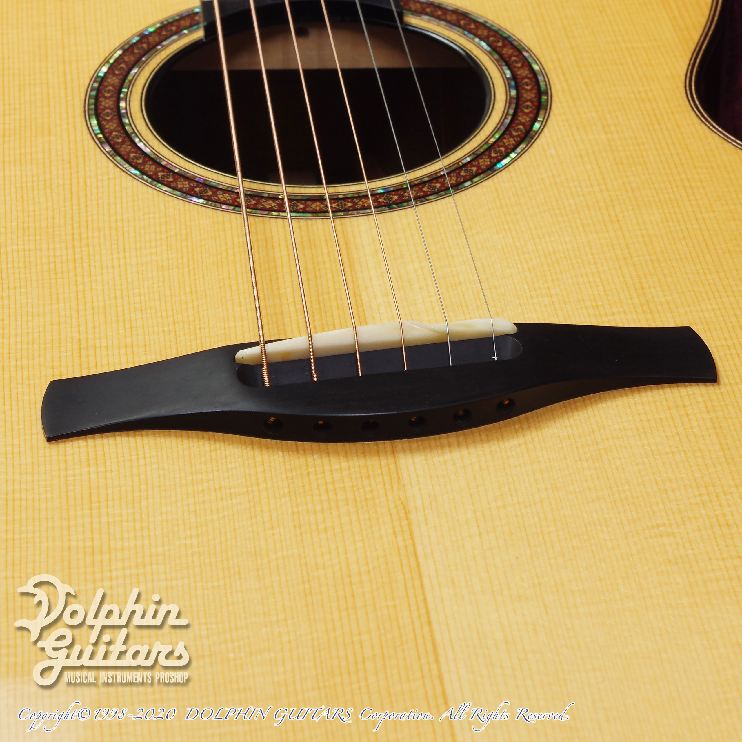 IKKO MASADA Model C Cutaway (Honduran Rosewood) - ドルフィンギターズ