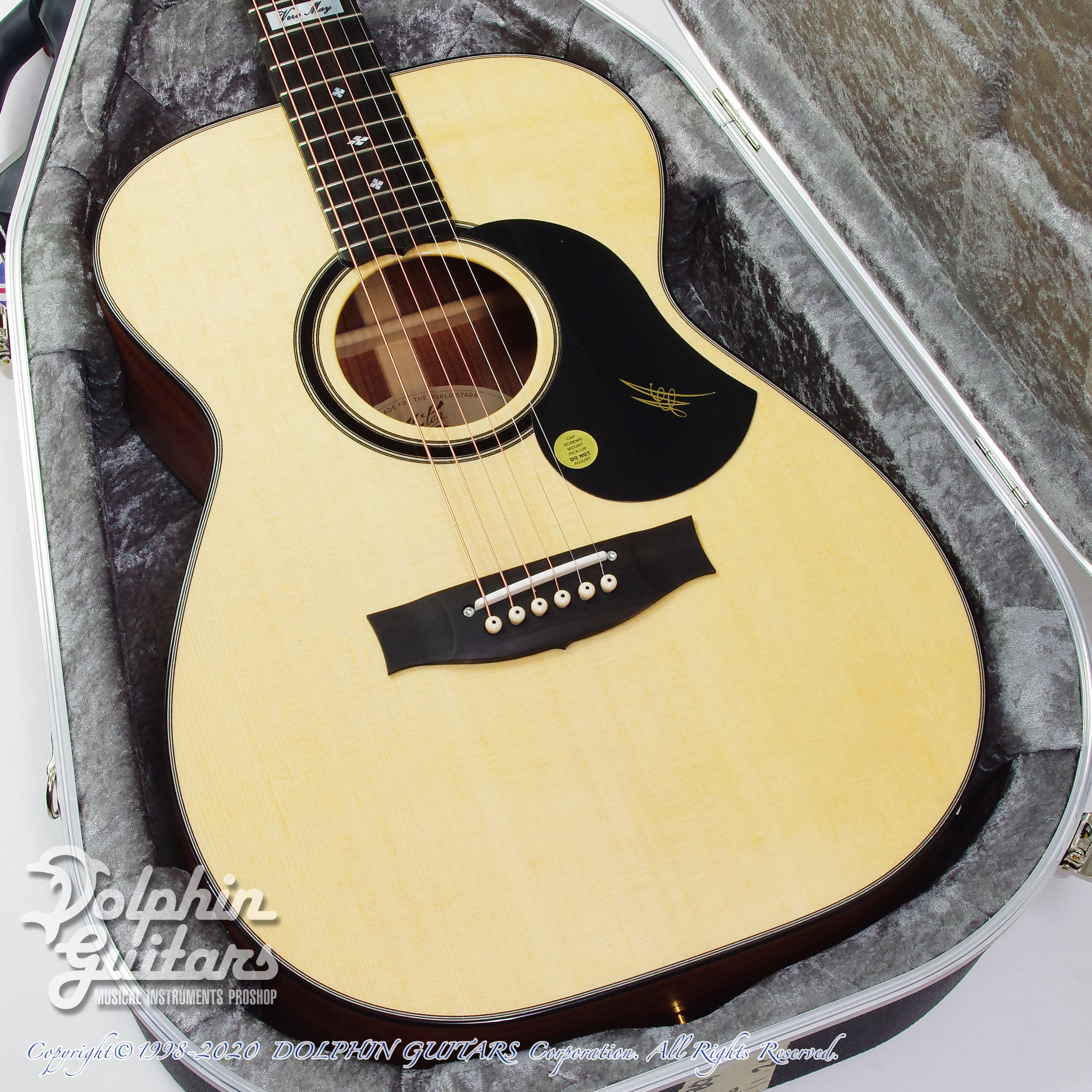 MATON The Vera May - ドルフィンギターズ