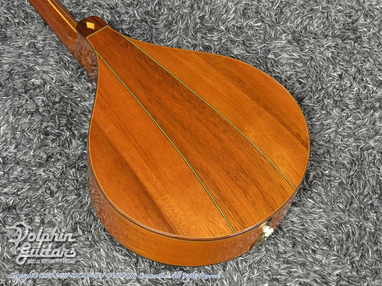 Joe Foley Irish Bouzouki - ドルフィンギターズ