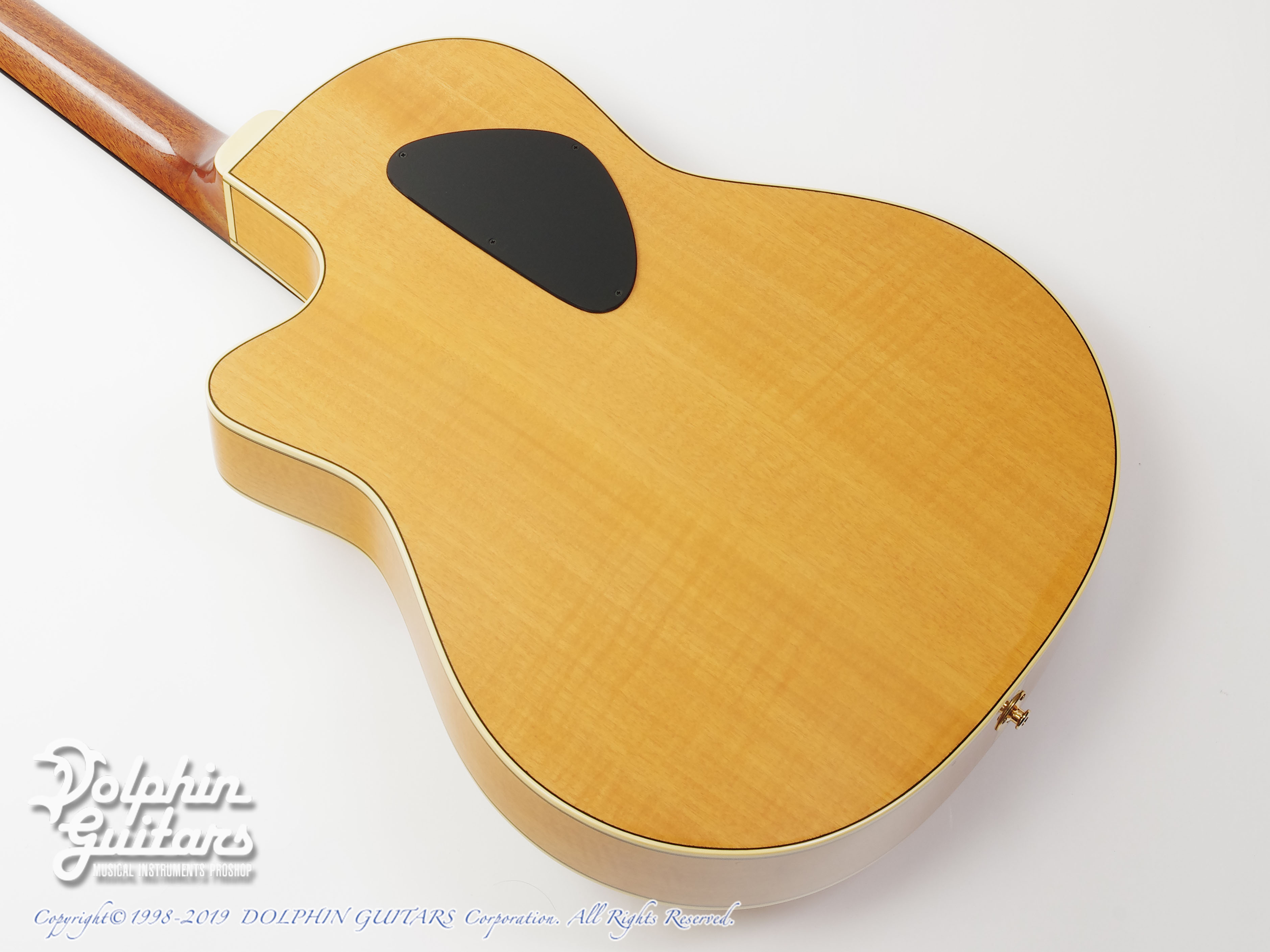 K.YAIRI YD-88M - ドルフィンギターズ
