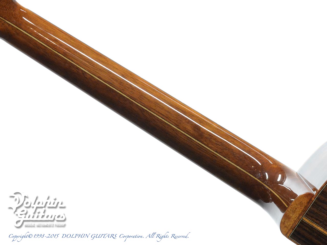 FLY ROBIN Grace - ドルフィンギターズ