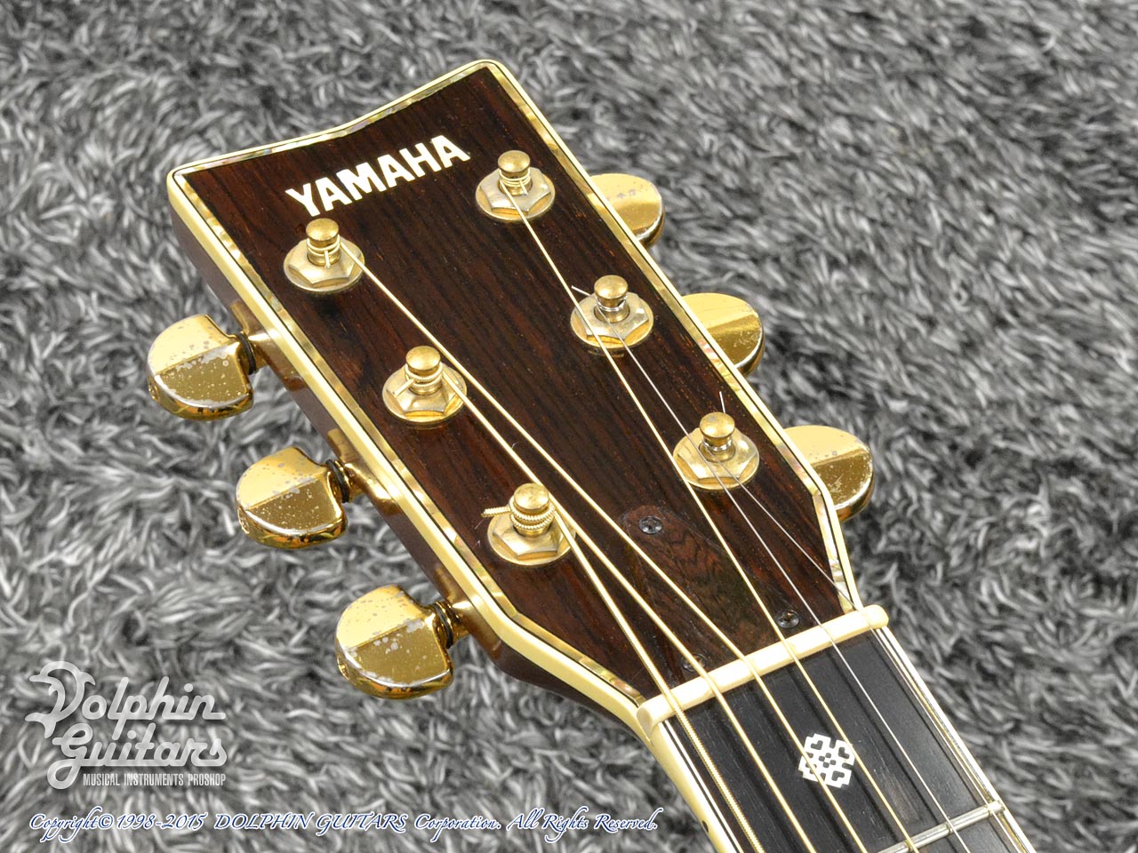 YAMAHA L-41 - ドルフィンギターズ