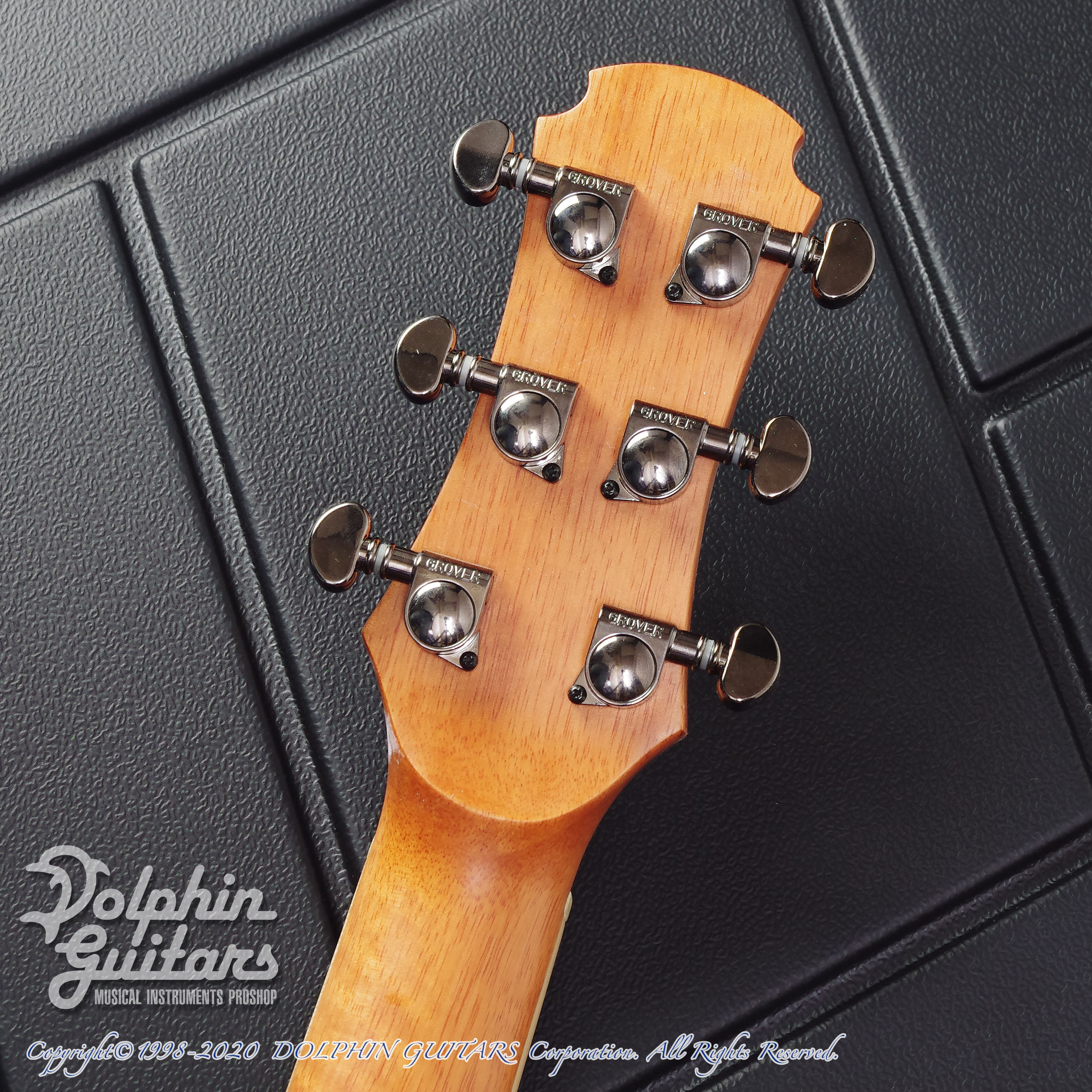 Maestro Guitars Victoria IR CSB - ドルフィンギターズ