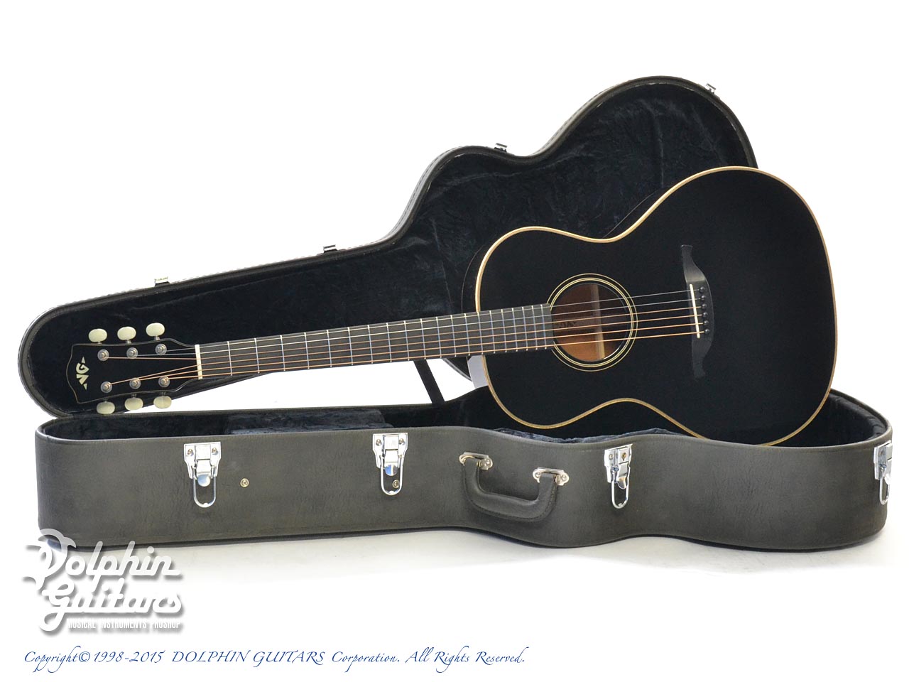VG VG-01M (All Black) - ドルフィンギターズ