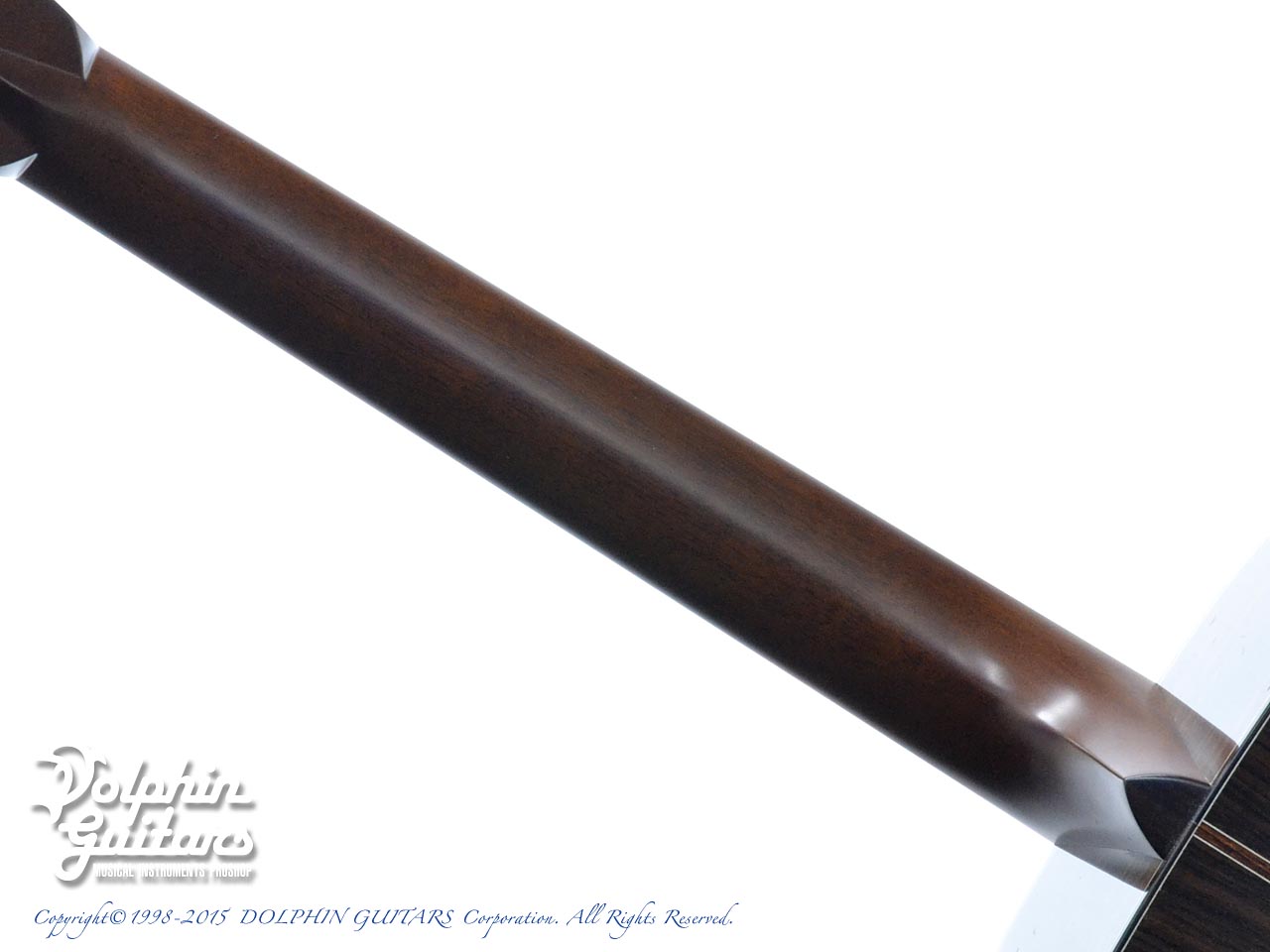 HEADWAY HO-Concept - ドルフィンギターズ