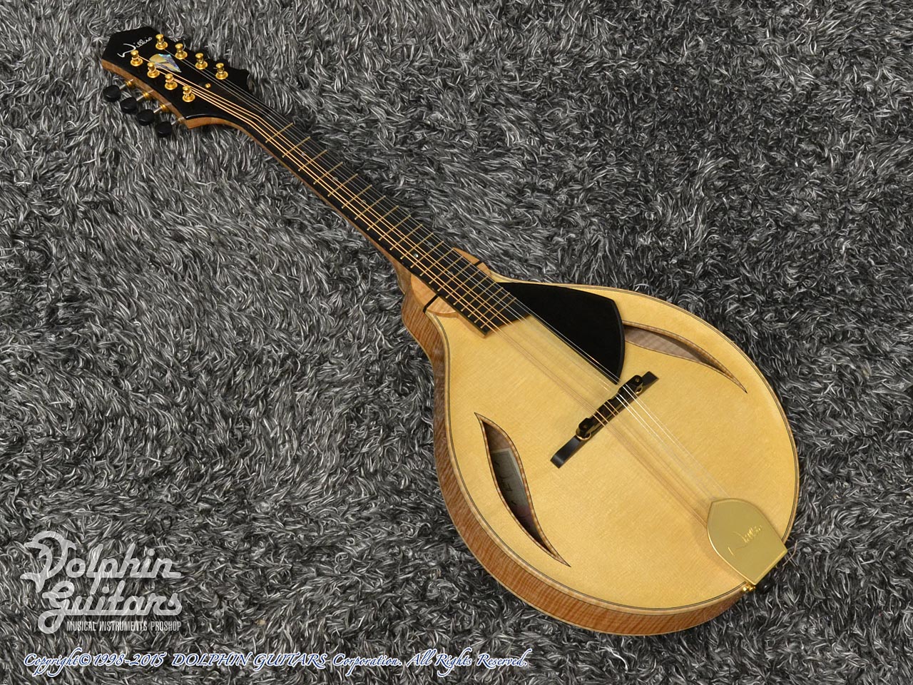 WYATT WILKIE Nothern Flyer Mandolin - ドルフィンギターズ