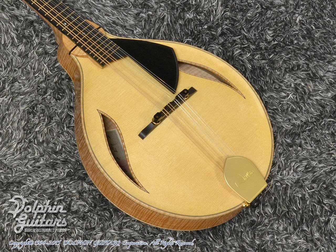 WYATT WILKIE Nothern Flyer Mandolin - ドルフィンギターズ