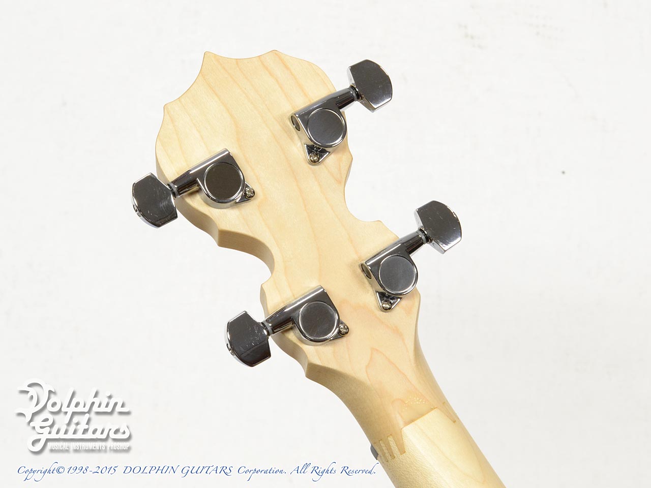 DEERING Goodtime Open Back Banjo - ドルフィンギターズ