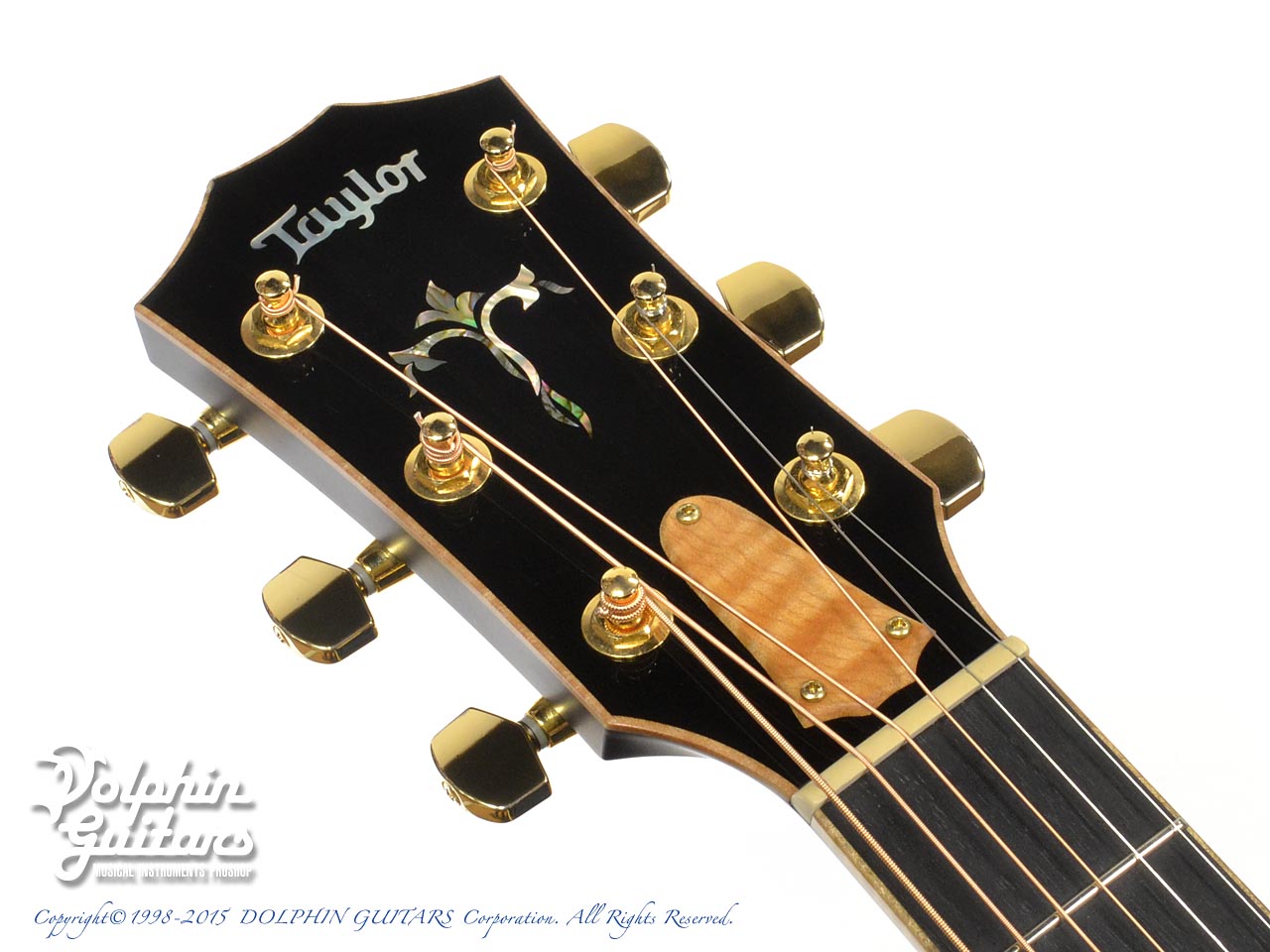 TAYLOR Custom14 GAFce-MP/BB - ドルフィンギターズ