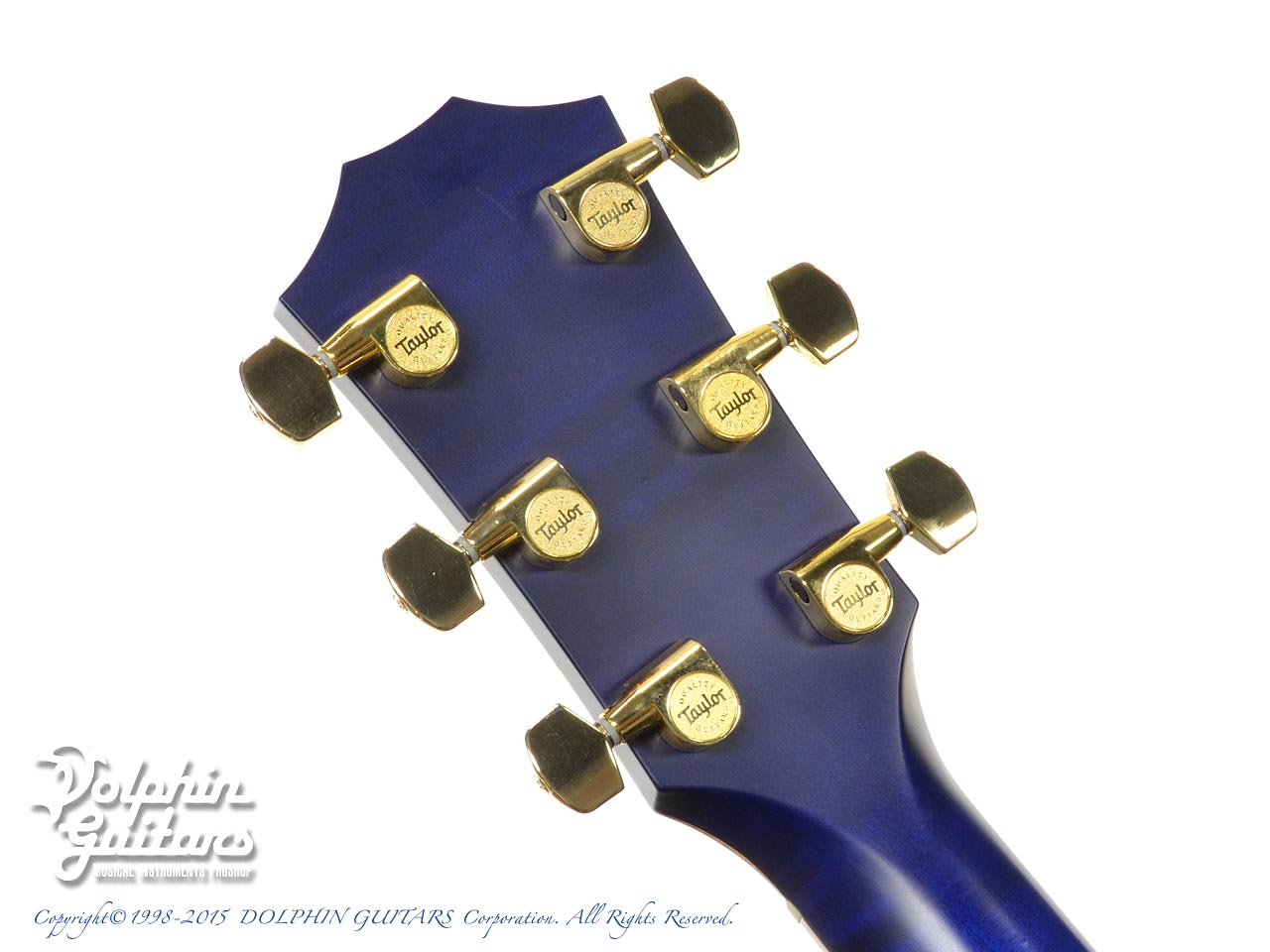 TAYLOR Custom14 GAFce-MP/BB - ドルフィンギターズ