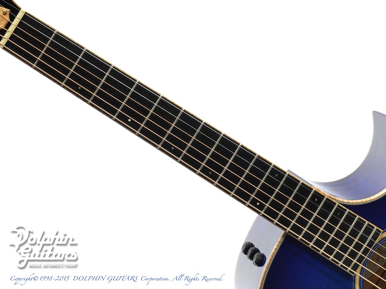 TAYLOR Custom14 GAFce-MP/BB - ドルフィンギターズ