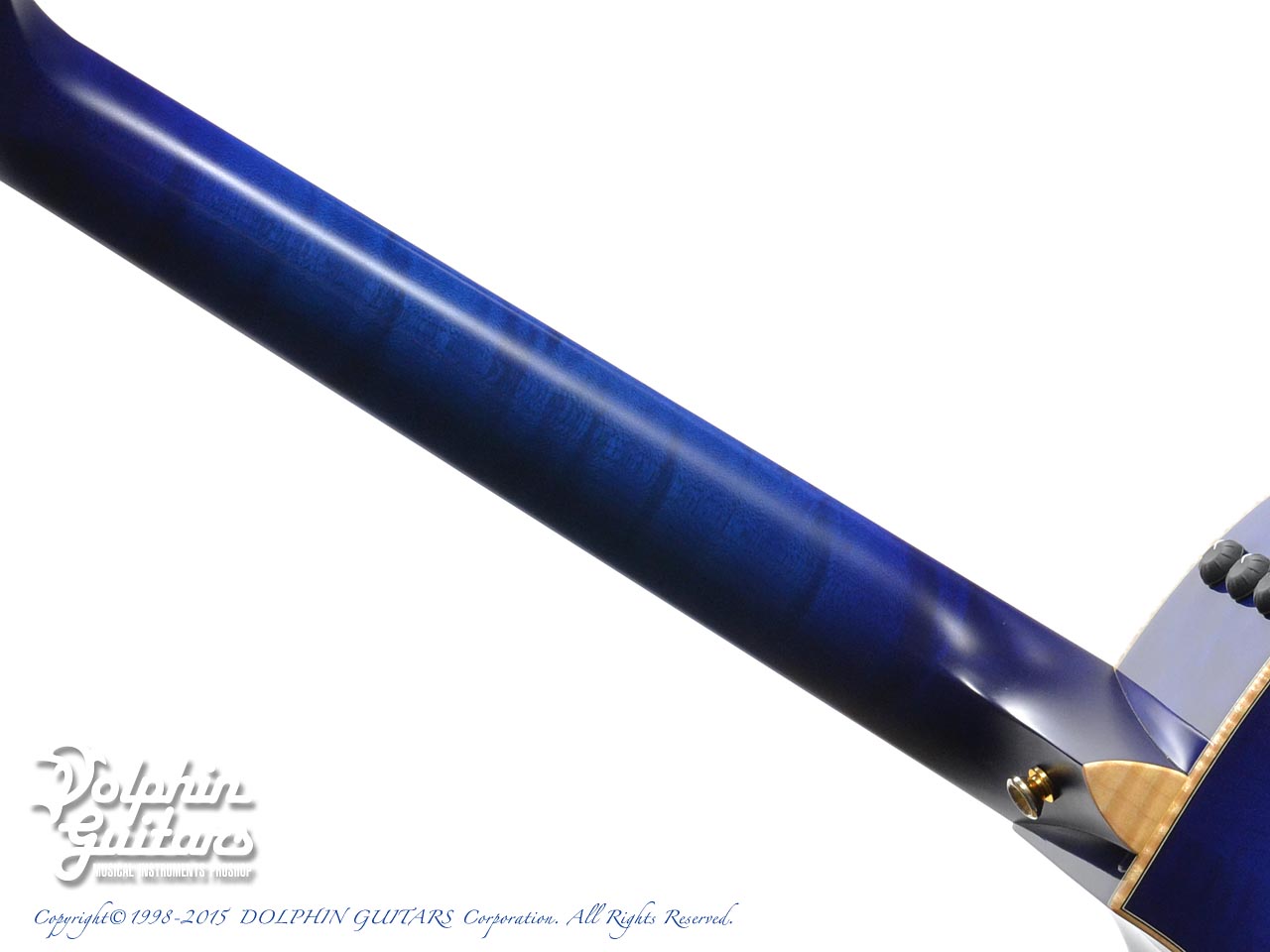 TAYLOR Custom14 GAFce-MP/BB - ドルフィンギターズ