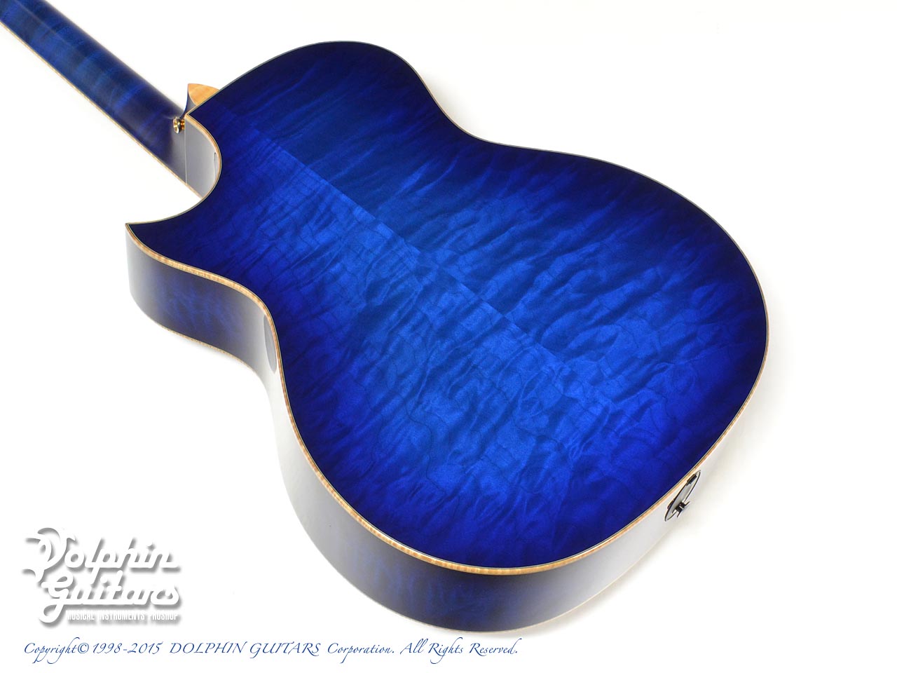 TAYLOR Custom14 GAFce-MP/BB - ドルフィンギターズ