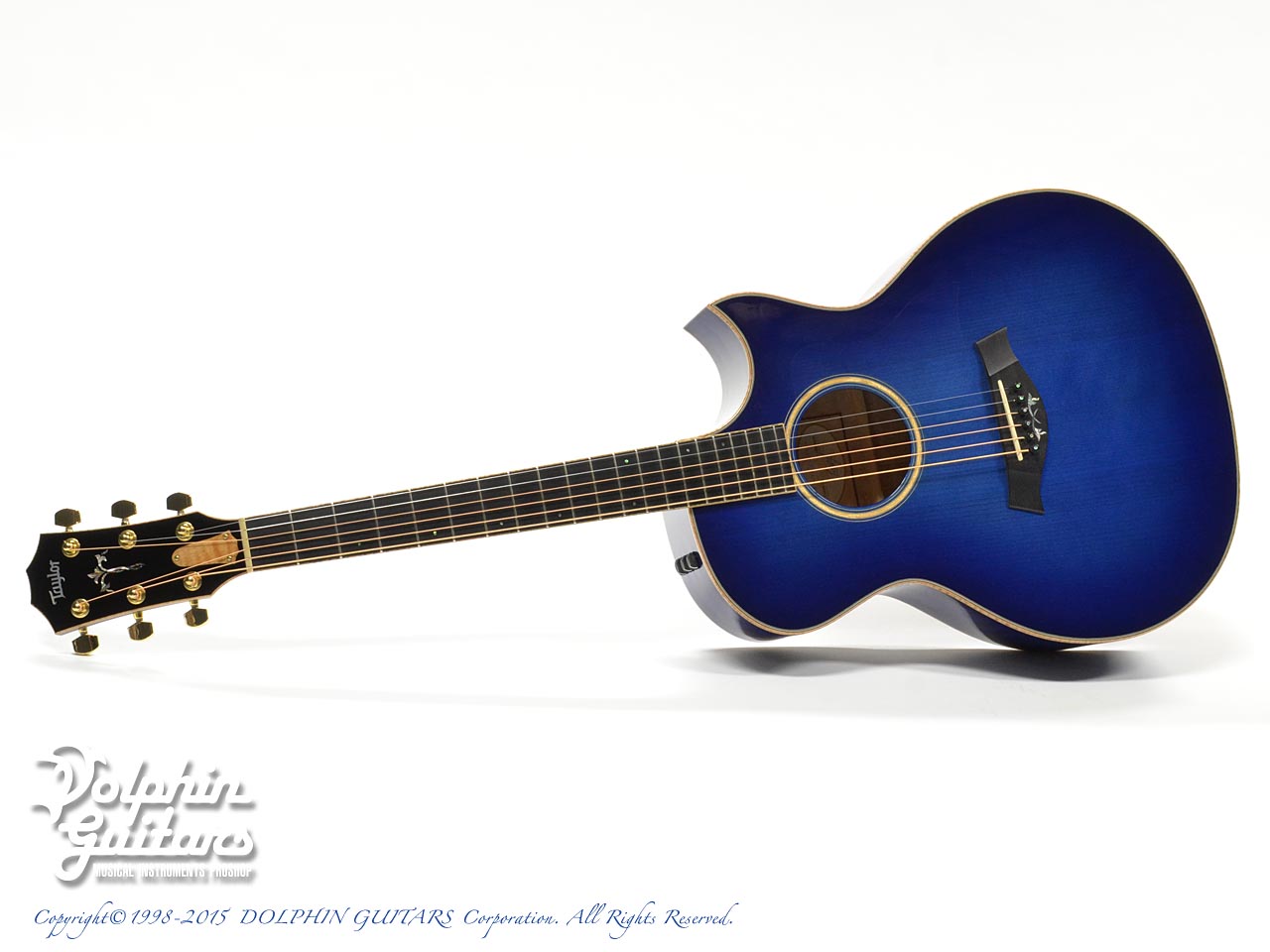 TAYLOR Custom14 GAFce-MP/BB - ドルフィンギターズ