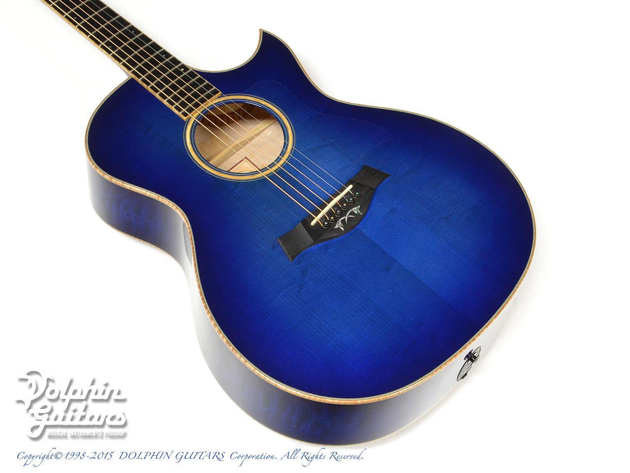 TAYLOR Custom14 GAFce-MP/BB - ドルフィンギターズ